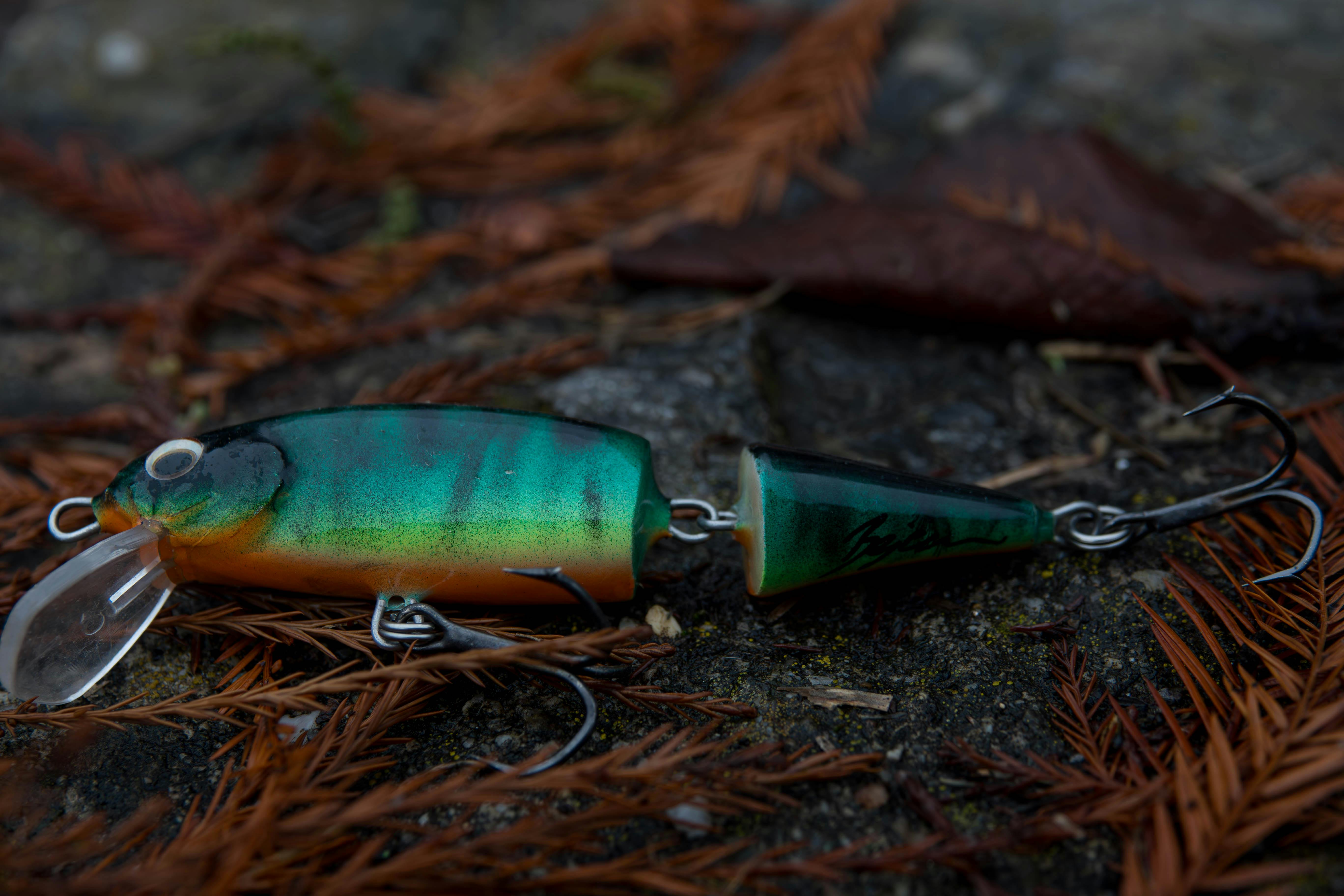 Vibrant Green Fishing Lure on Leafy Ground · Free Stock Photo