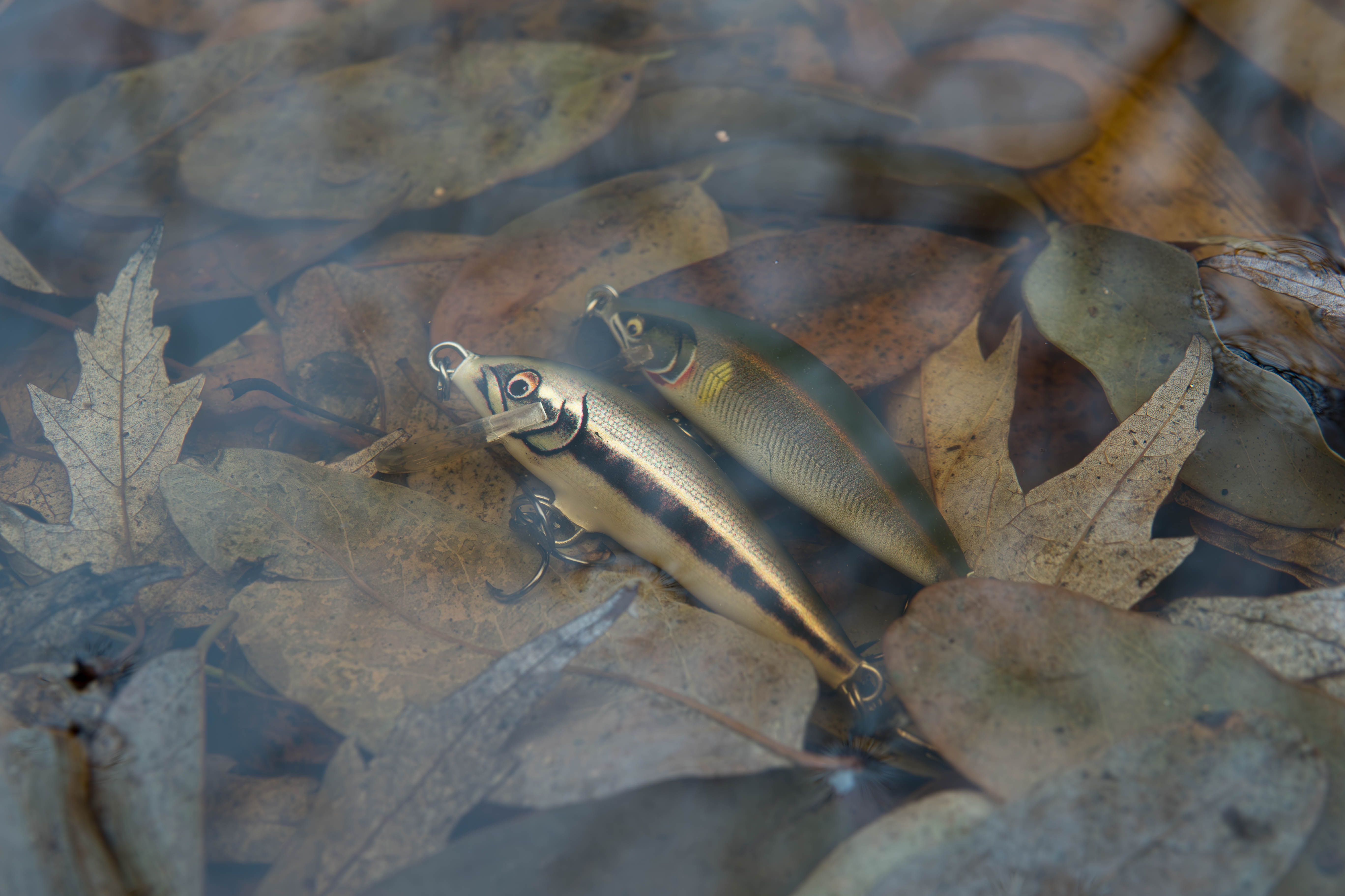 Underwater Fishing Lures on Autumn Leaves · Free Stock Photo