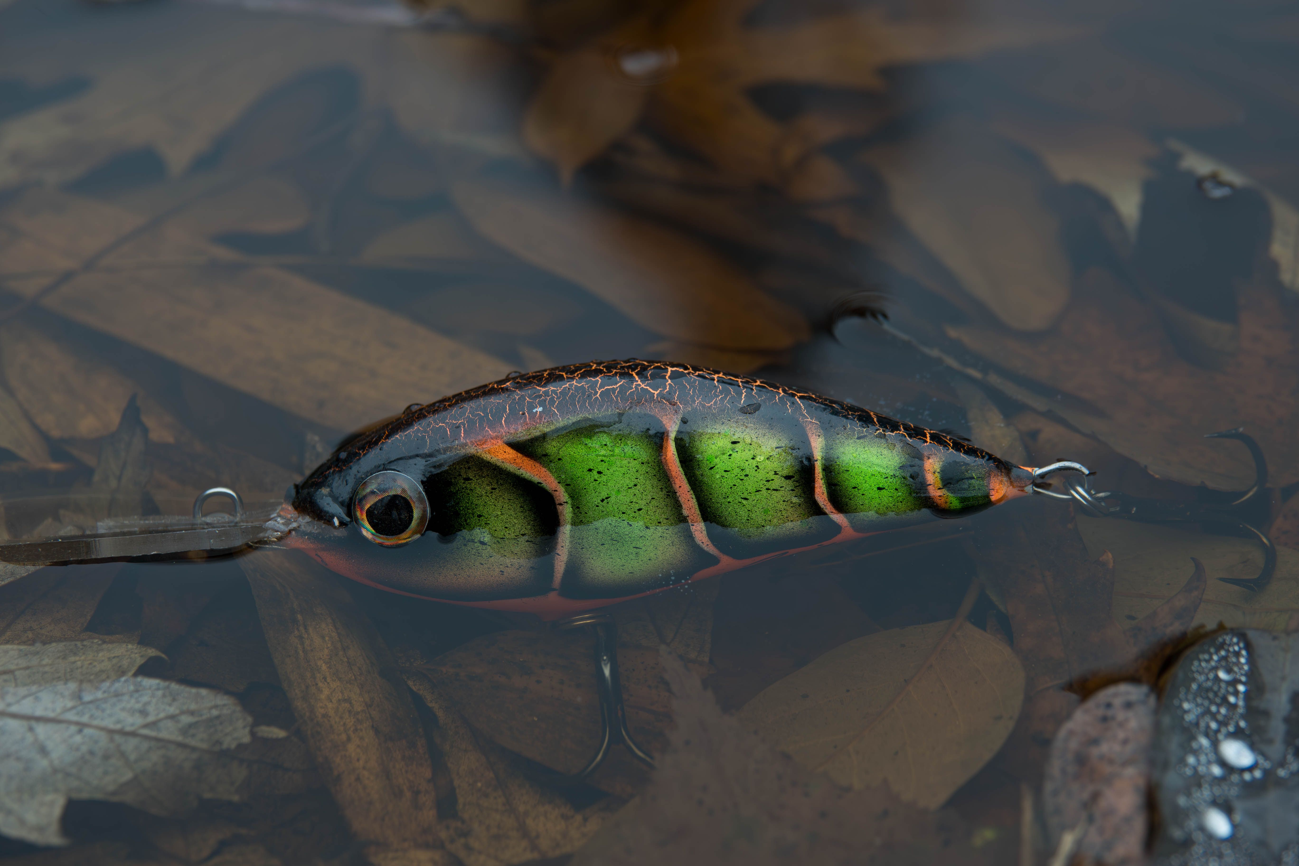 Colorful Fishing Lure in Autumn Leaves · Free Stock Photo