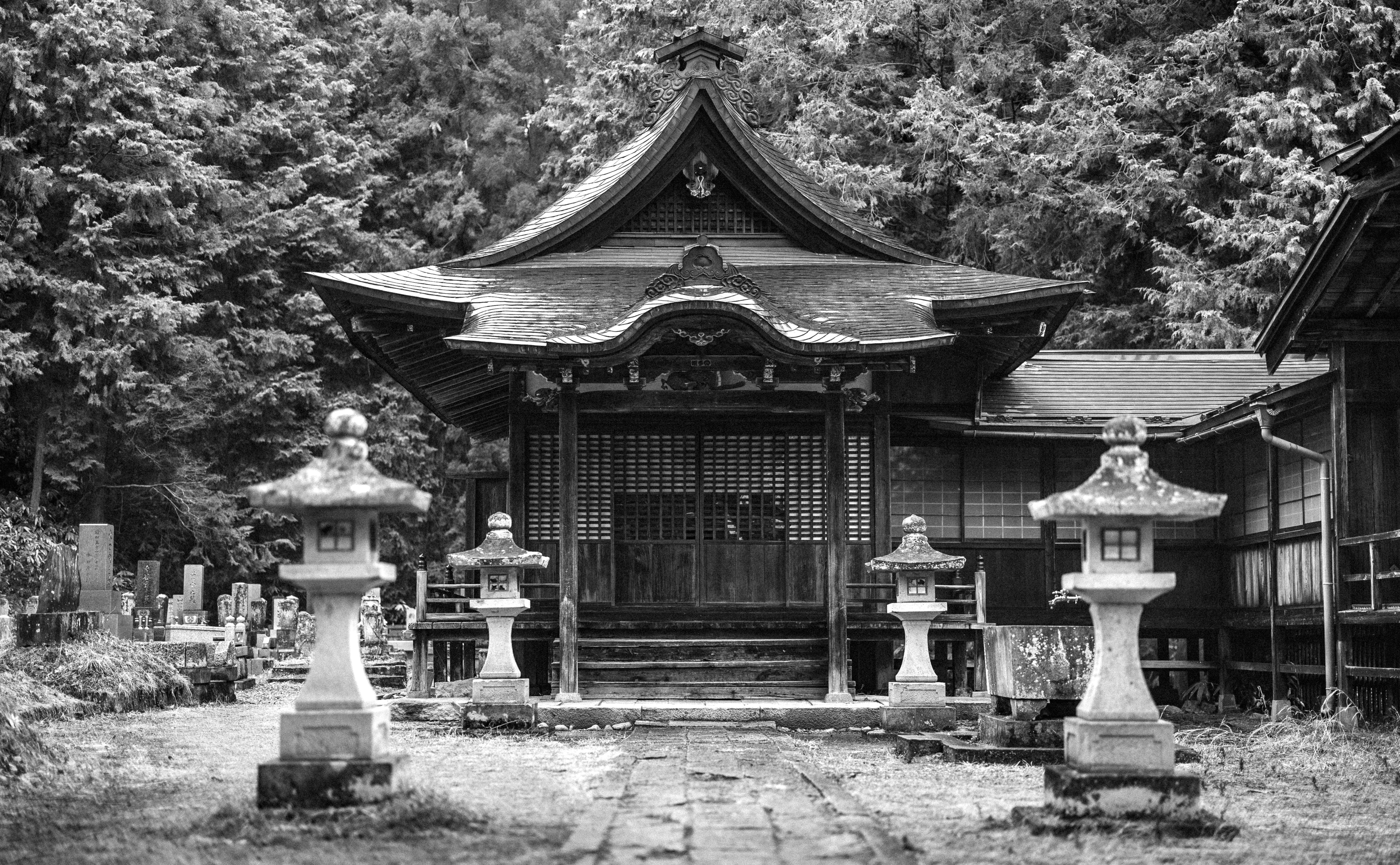 Black Shogun Photos, Download The BEST Free Black Shogun Stock Photos ...