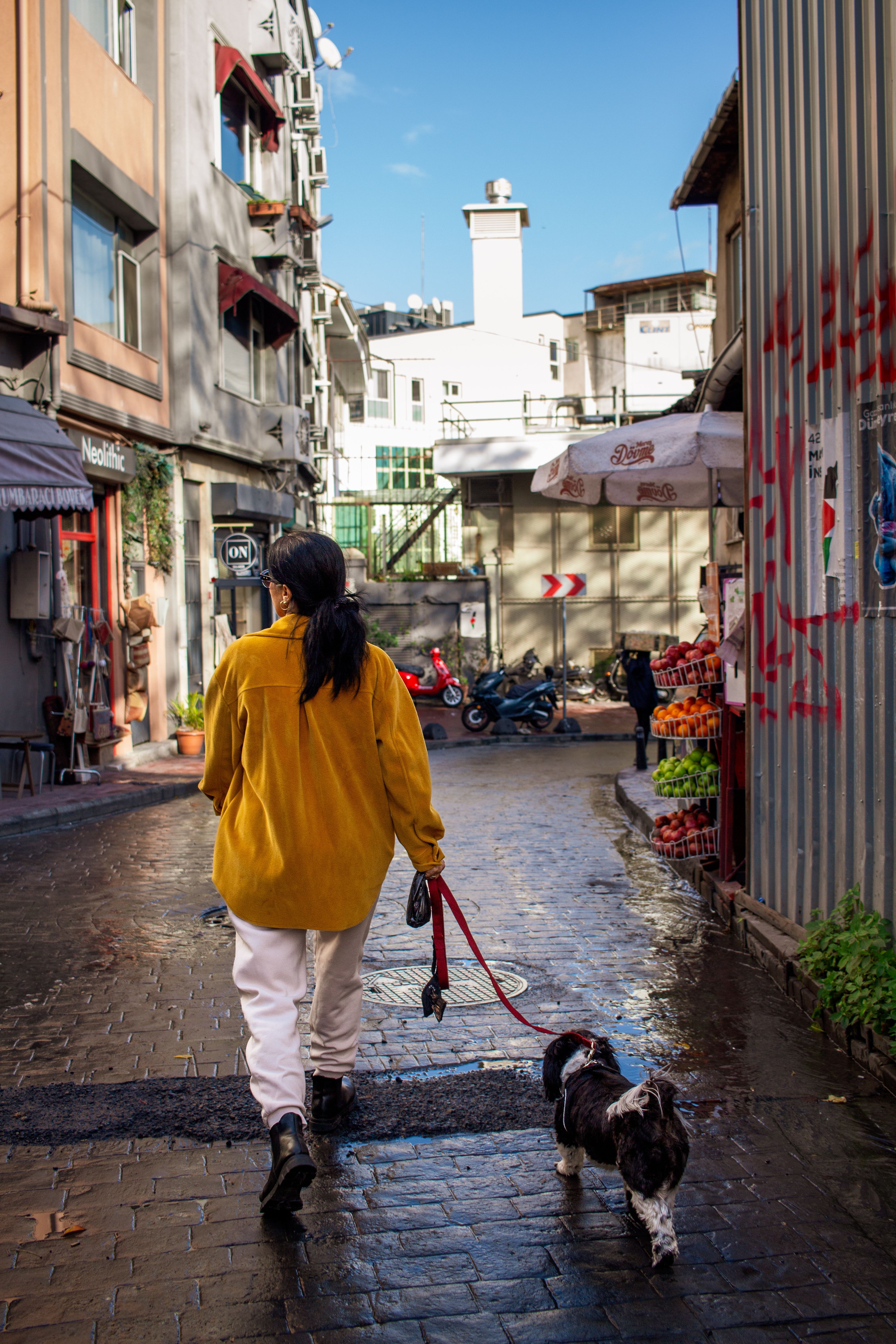 Woman Walking Dog in Vibrant City Street · Free Stock Photo