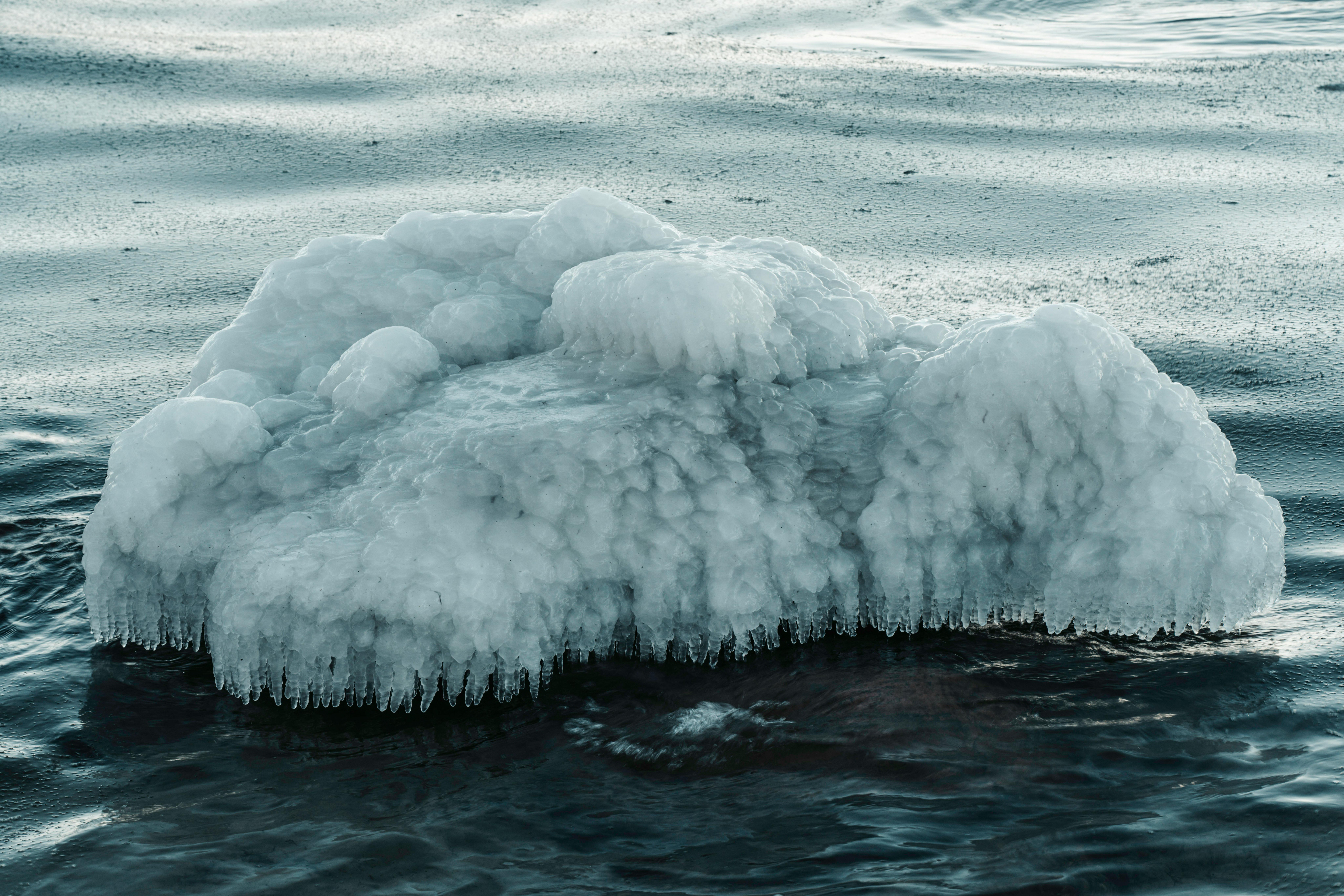 Ice Formation on Cold Ocean Water · Free Stock Photo