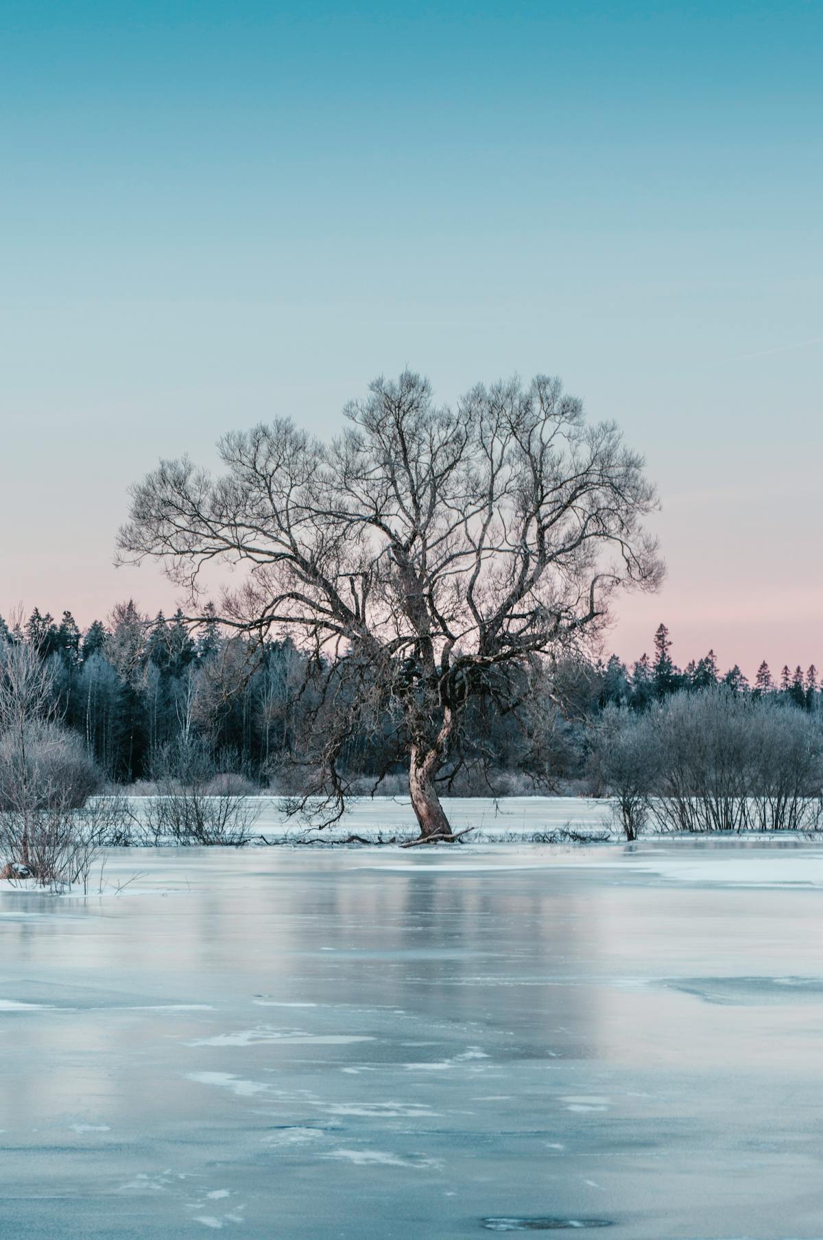 Snow Landscape Photos, Download The BEST Free Snow Landscape Stock ...