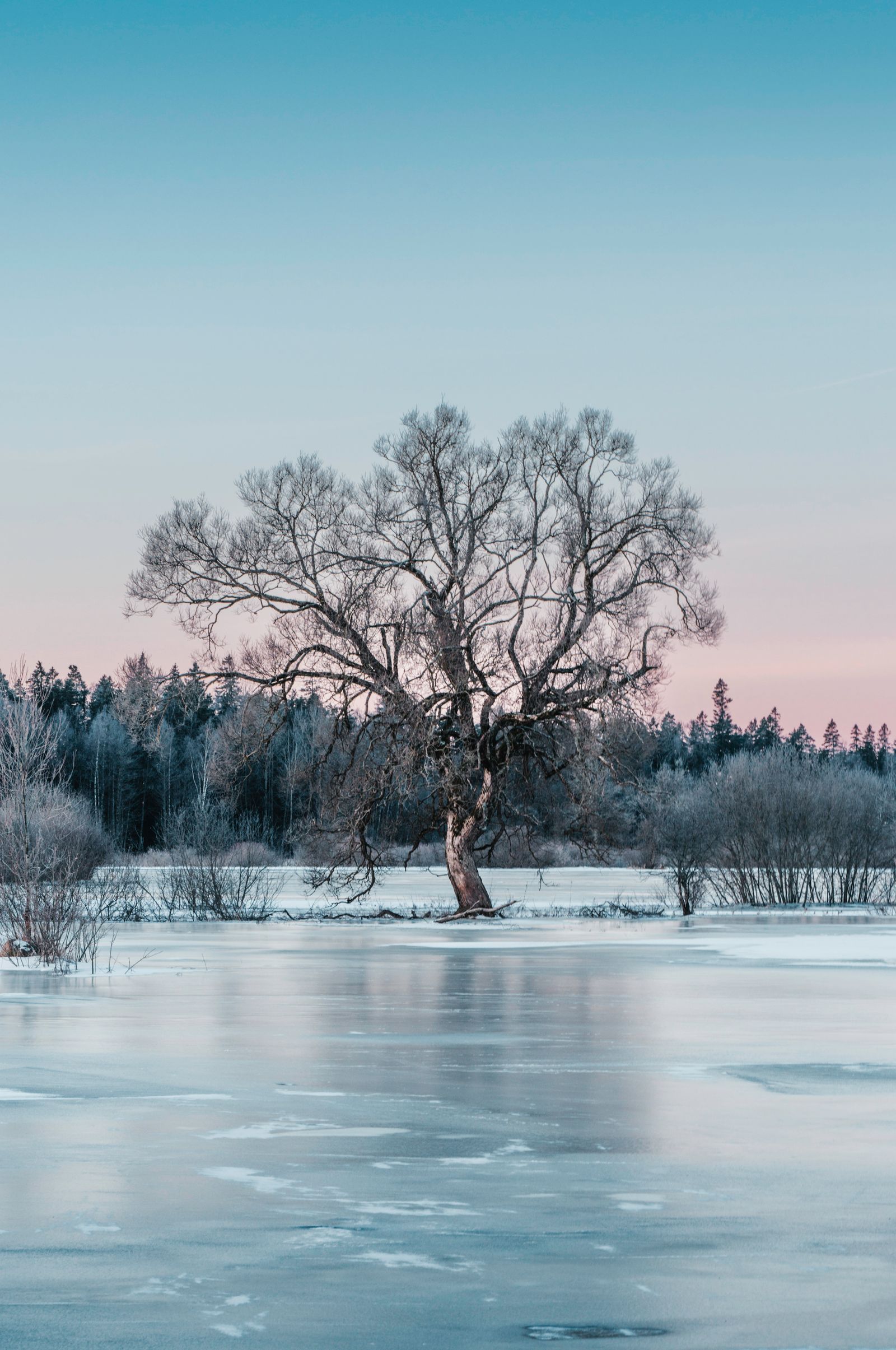 Snow Landscape Photos, Download The BEST Free Snow Landscape Stock ...