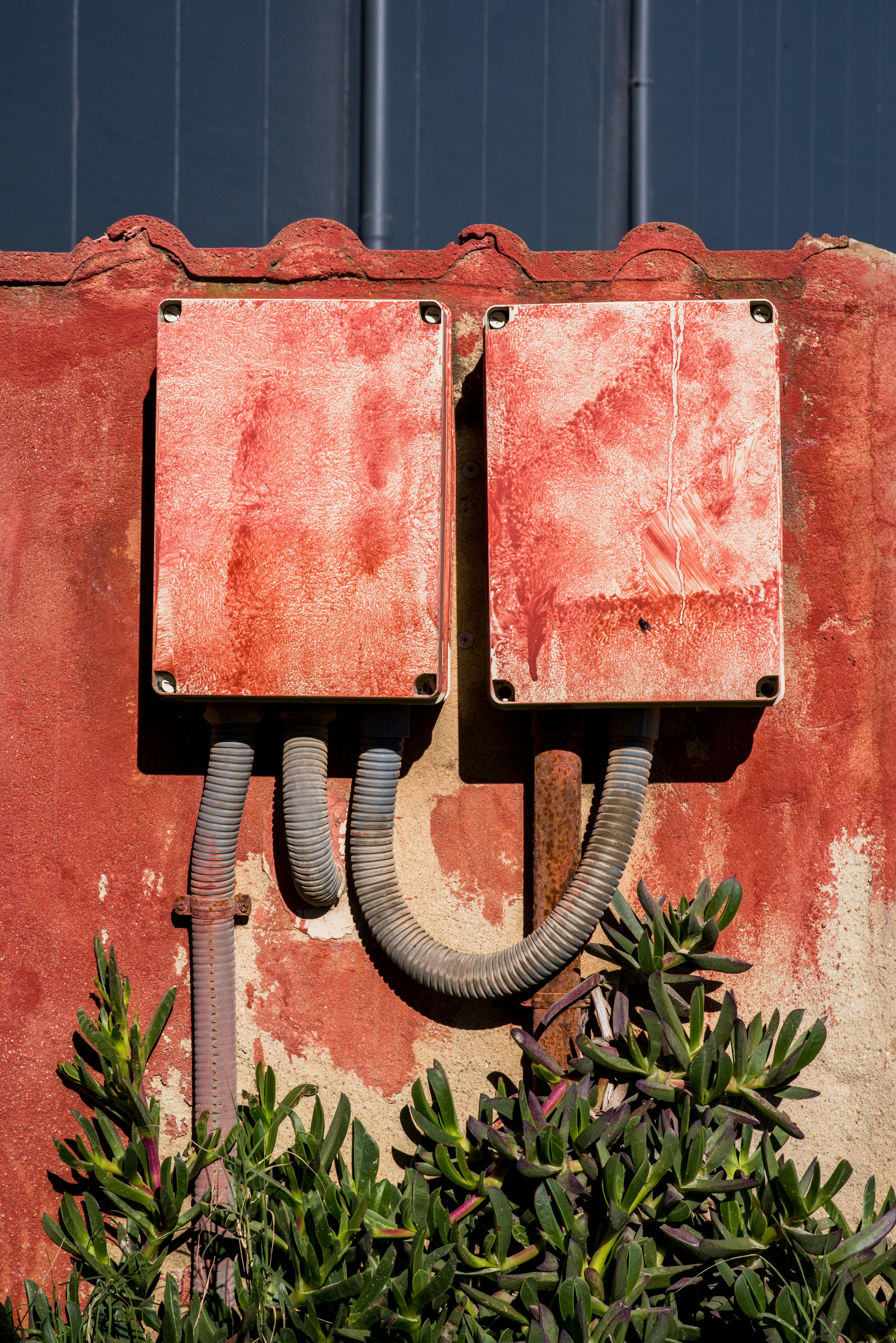 Weathered Red Electrical Boxes with Greenery · Free Stock Photo