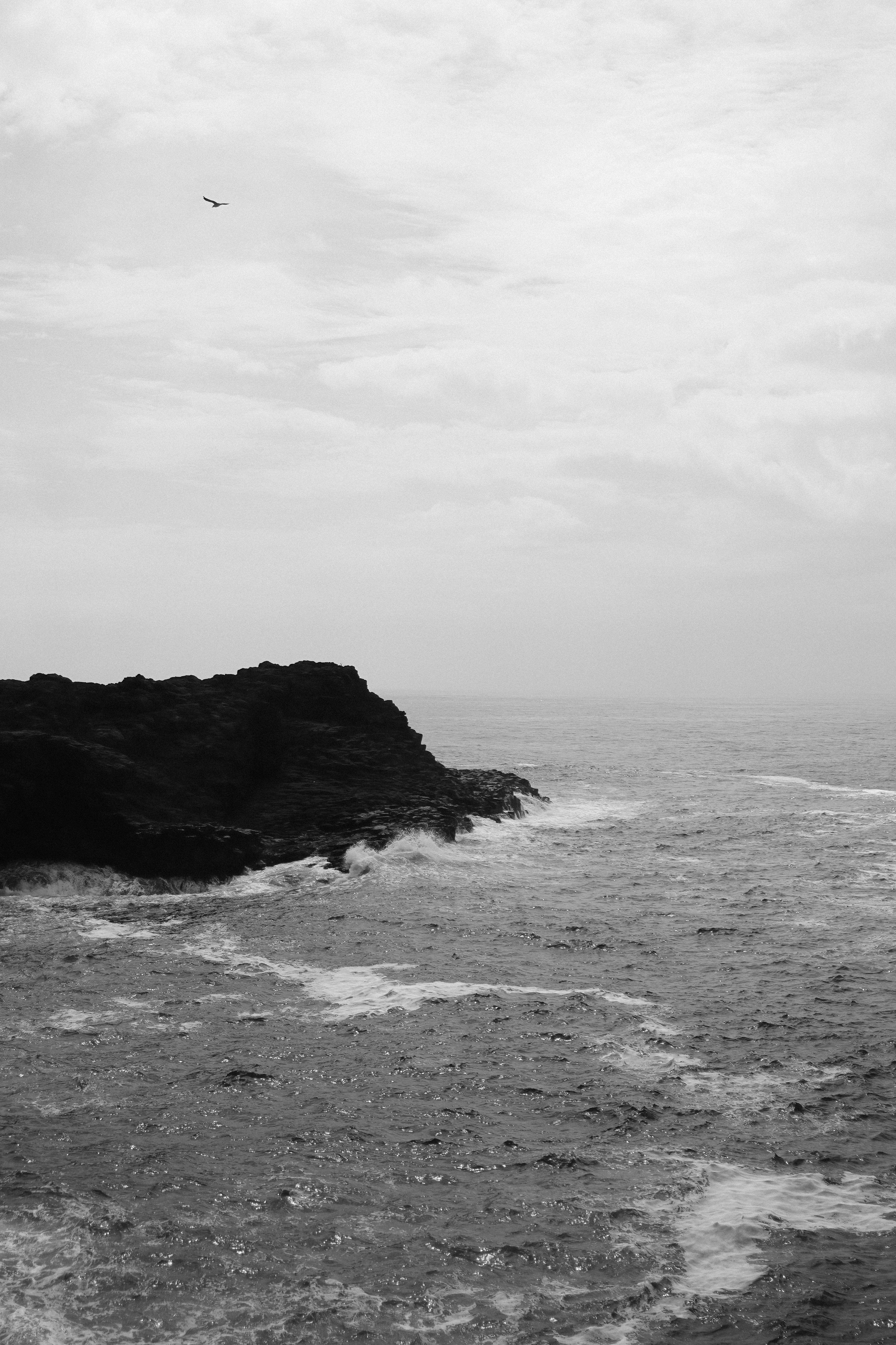 Dramatic Black and White Ocean Cliff Scene · Free Stock Photo