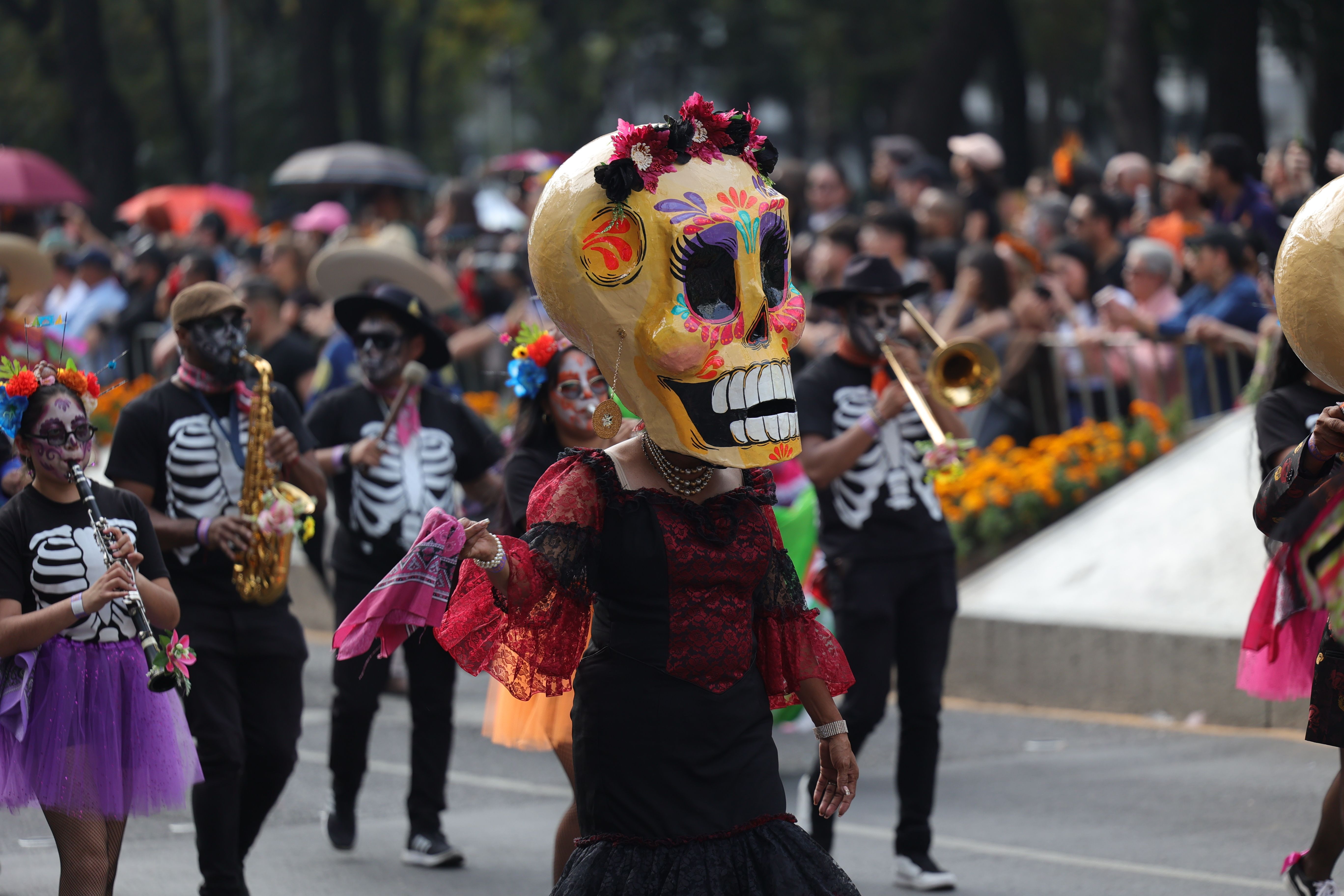 Skeleton Trumpet Photos, Download The BEST Free Skeleton Trumpet Stock ...