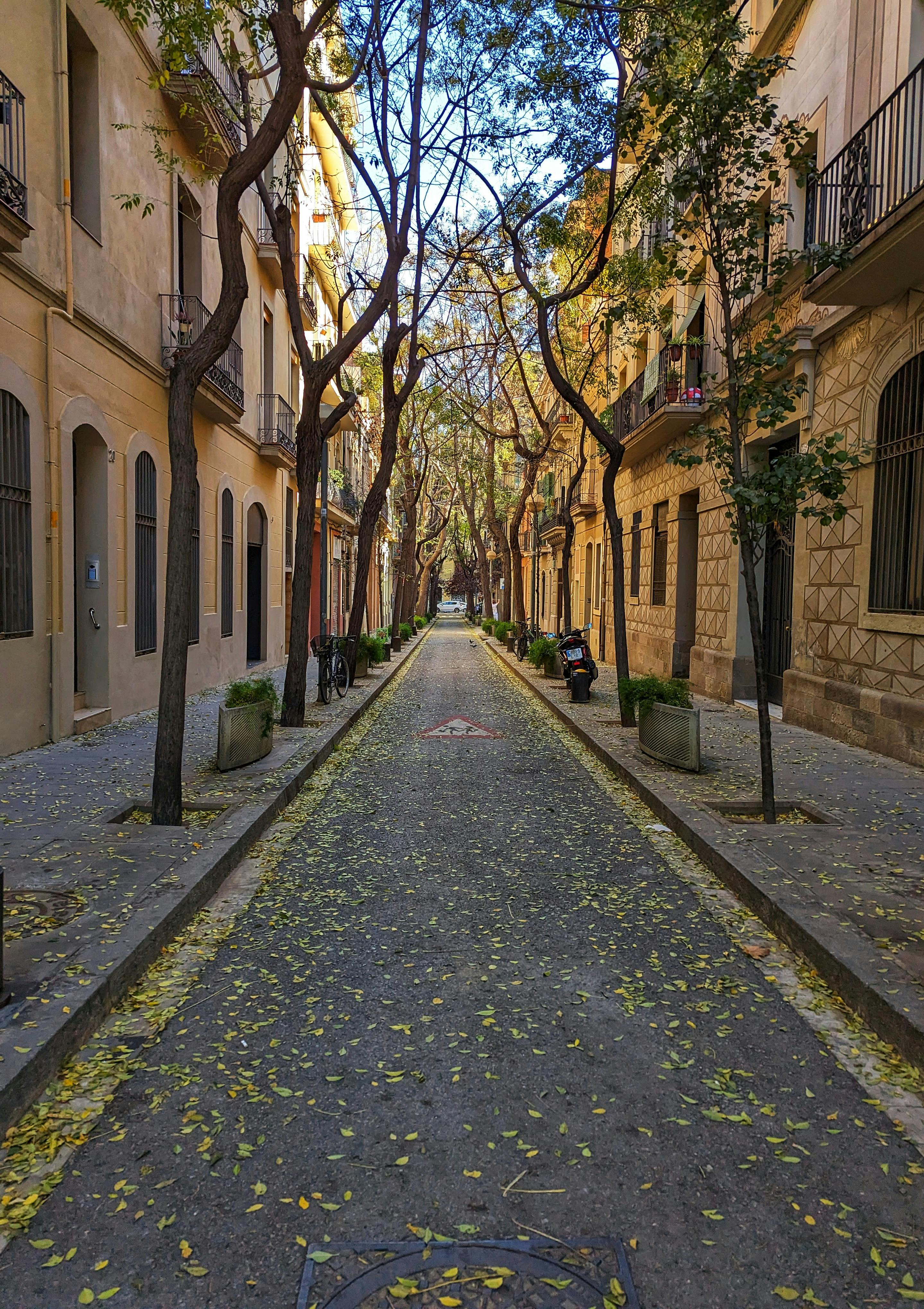 Old Barca Photos, Download The BEST Free Old Barca Stock Photos & HD Images