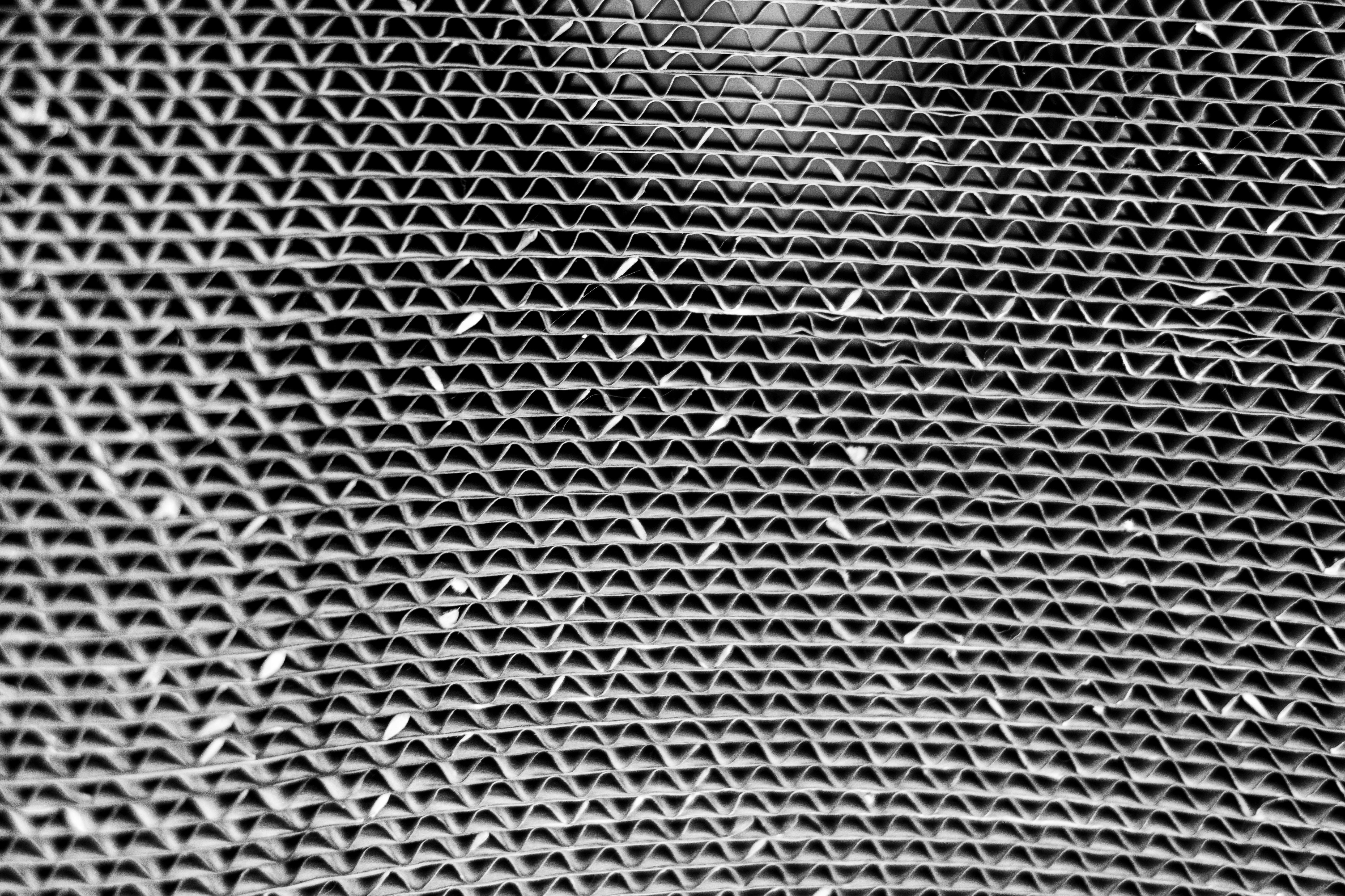 Monochromatic Textured Pattern BW Close-Up · Free Stock Photo