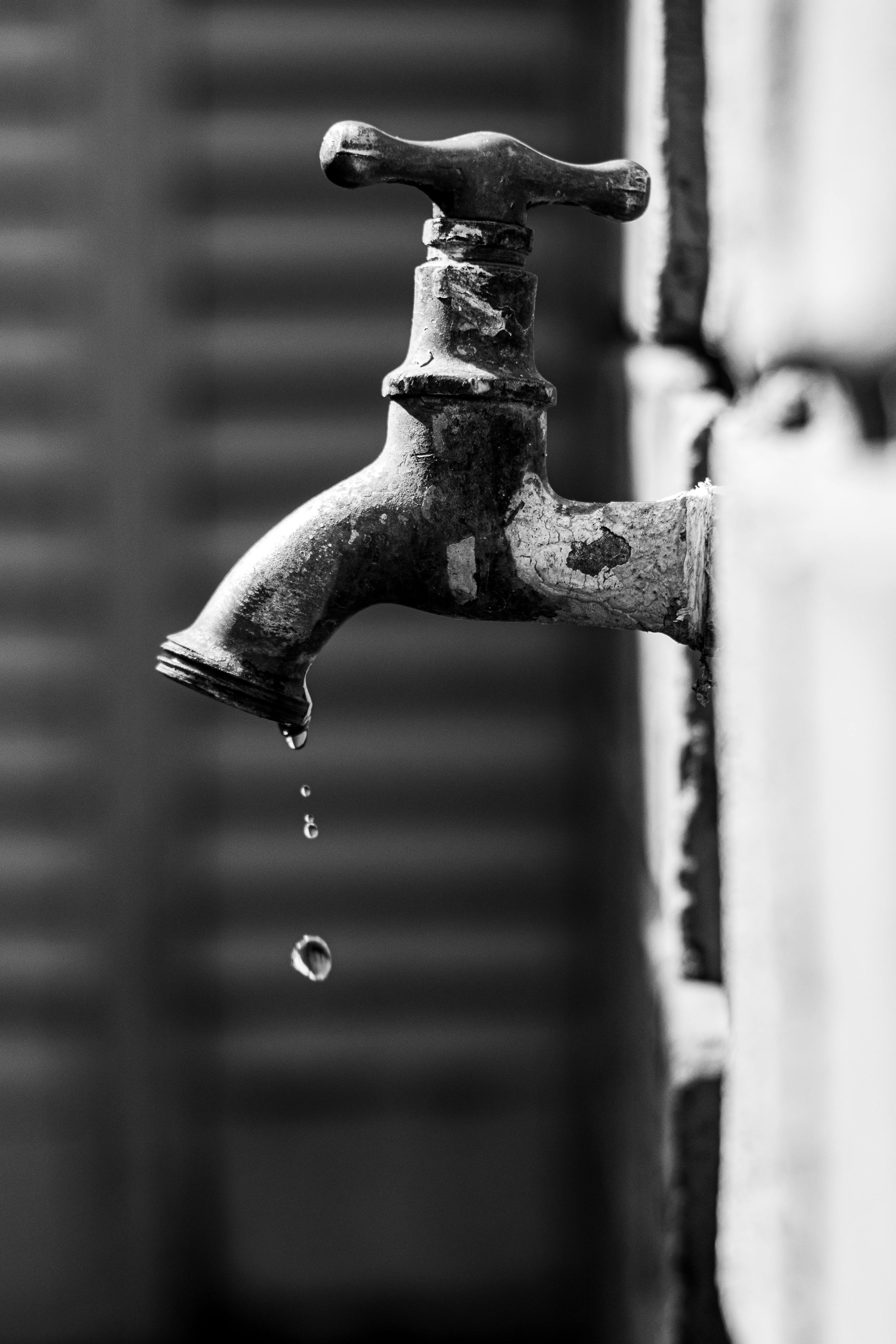 Rusted Tap Photos, Download The BEST Free Rusted Tap Stock Photos & HD ...