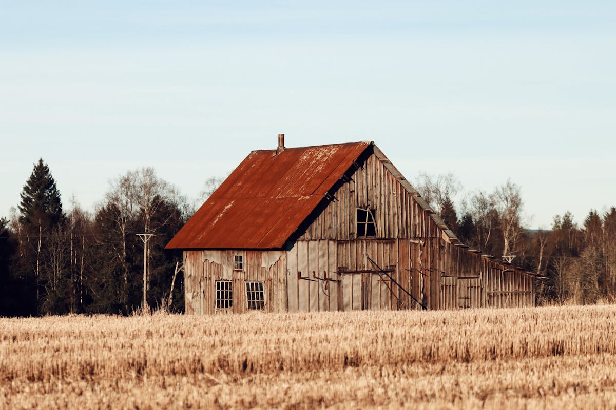 Old Barn Photos, Download The BEST Free Old Barn Stock Photos & HD Images