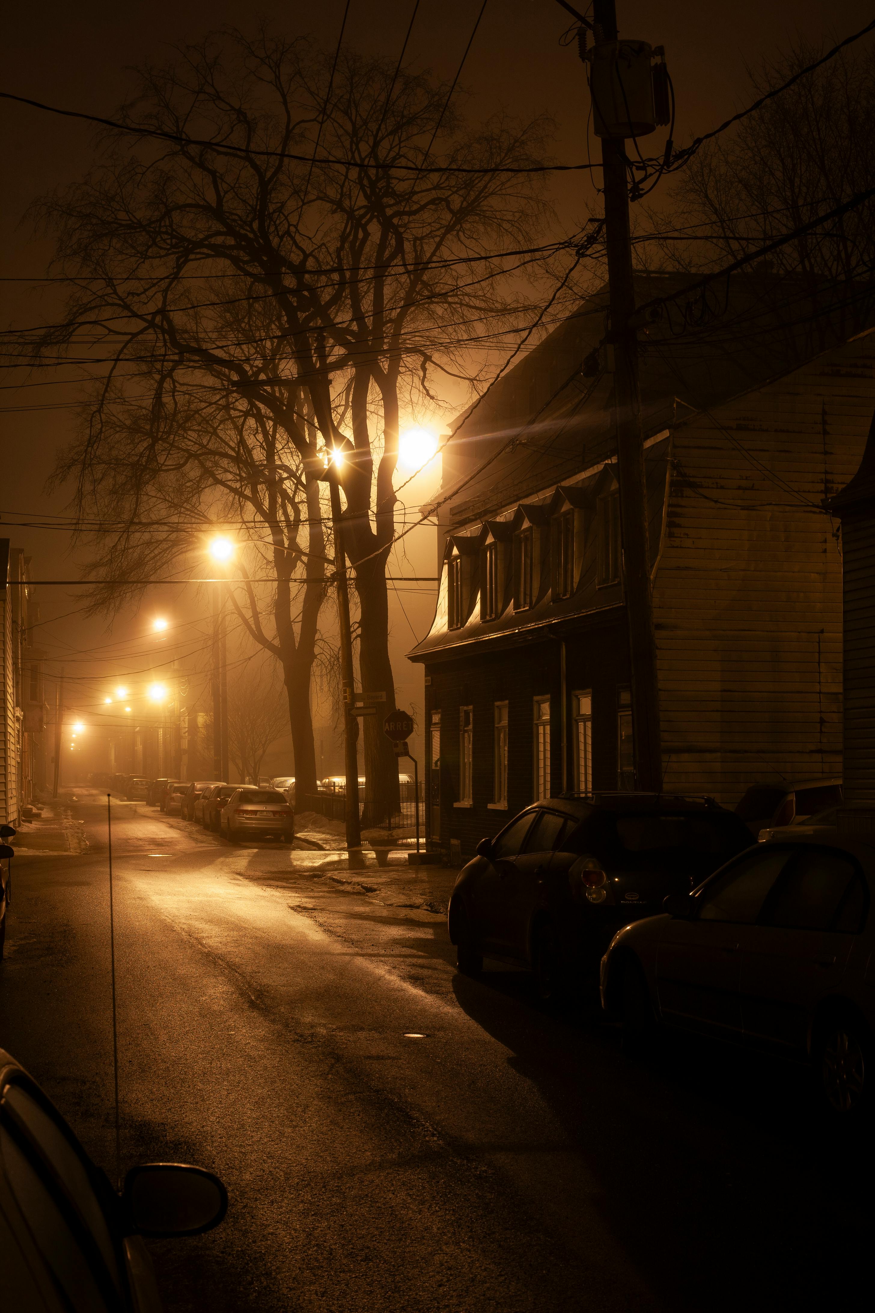 Misty Night Street with Warm Streetlights · Free Stock Photo