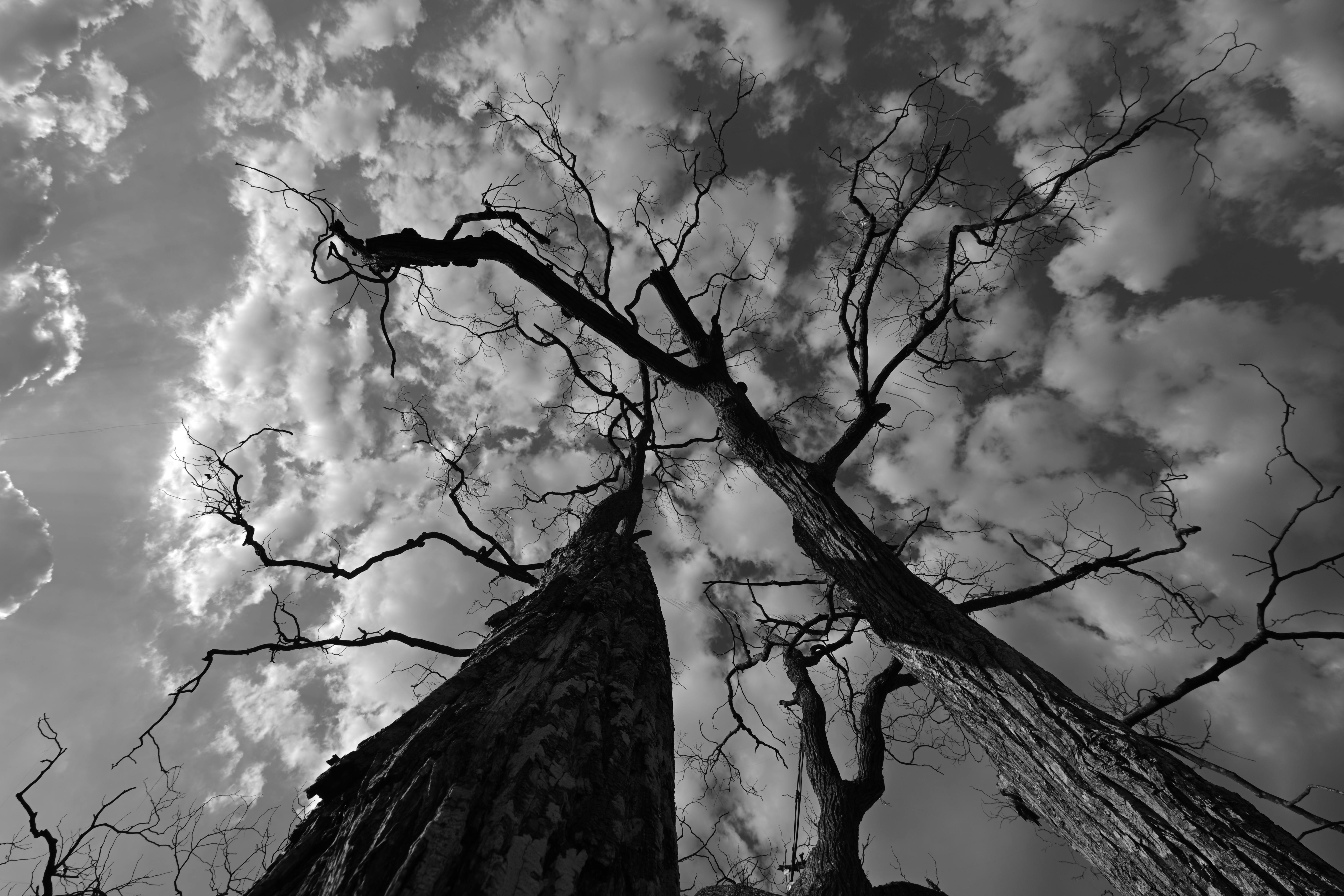 Dark Abstract Nature Photos, Download The BEST Free Dark Abstract ...