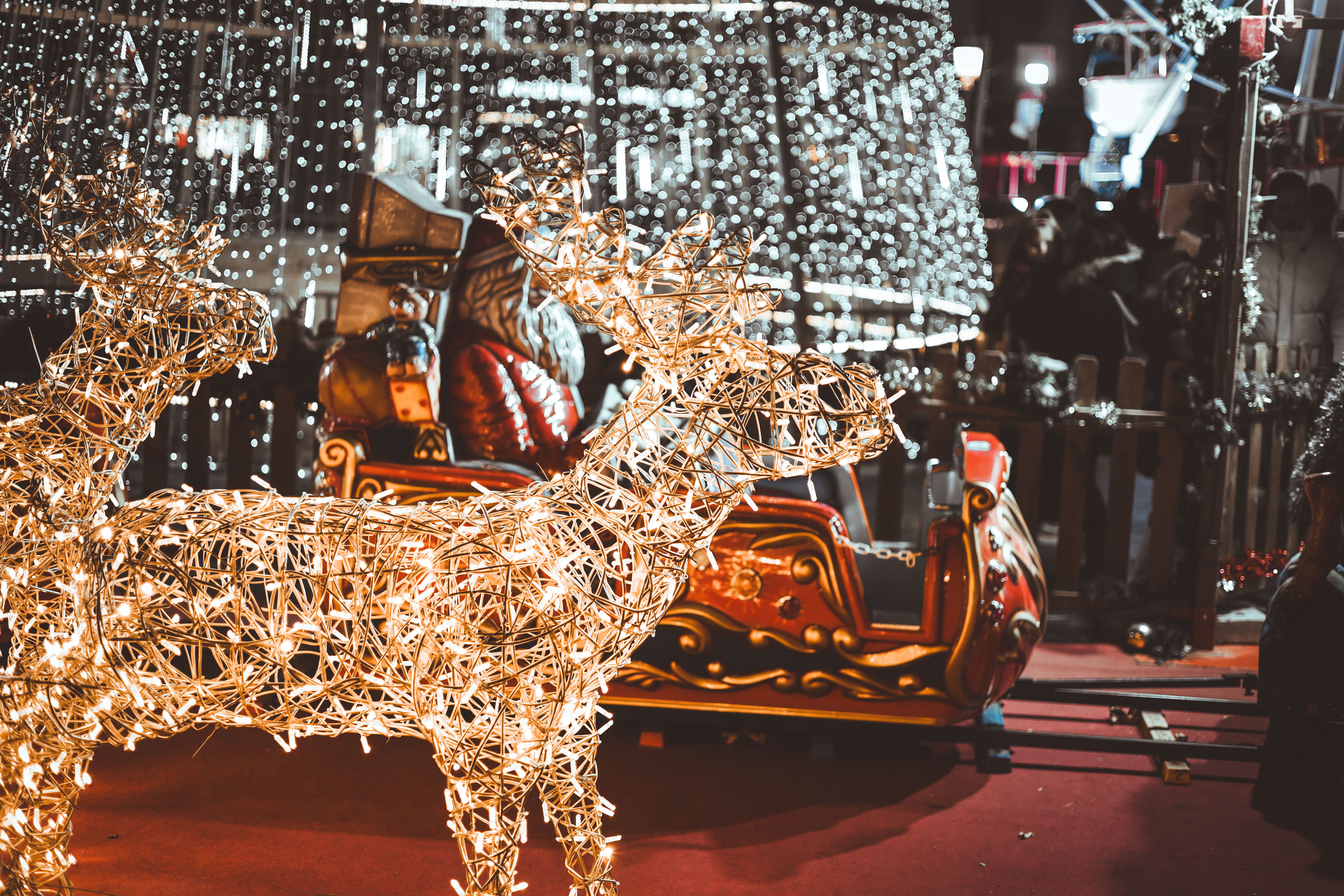 Festive Holiday Scene with Illuminated Reindeer · Free Stock Photo