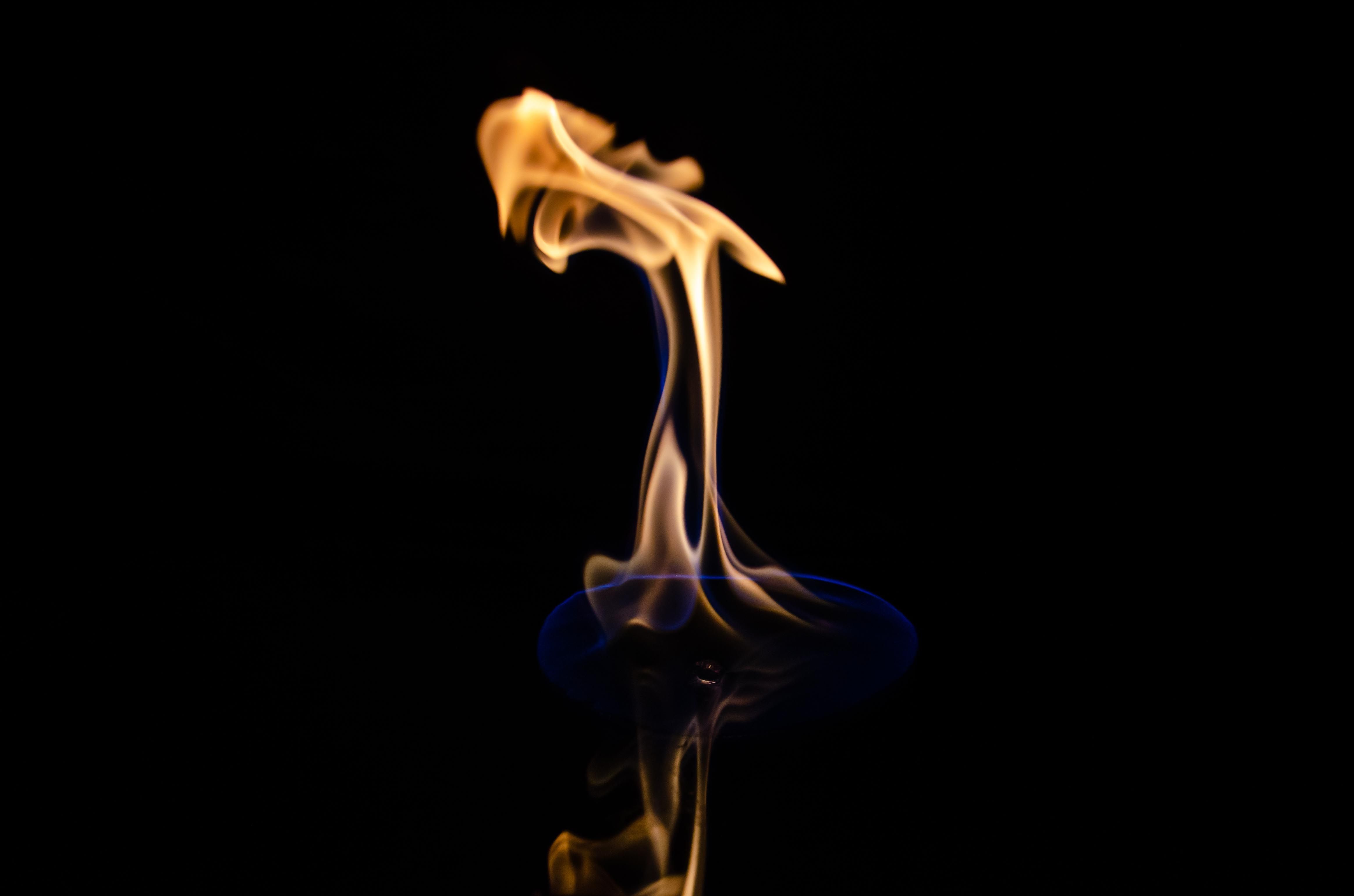 Artistic Flame on Black Background Close-Up · Free Stock Photo