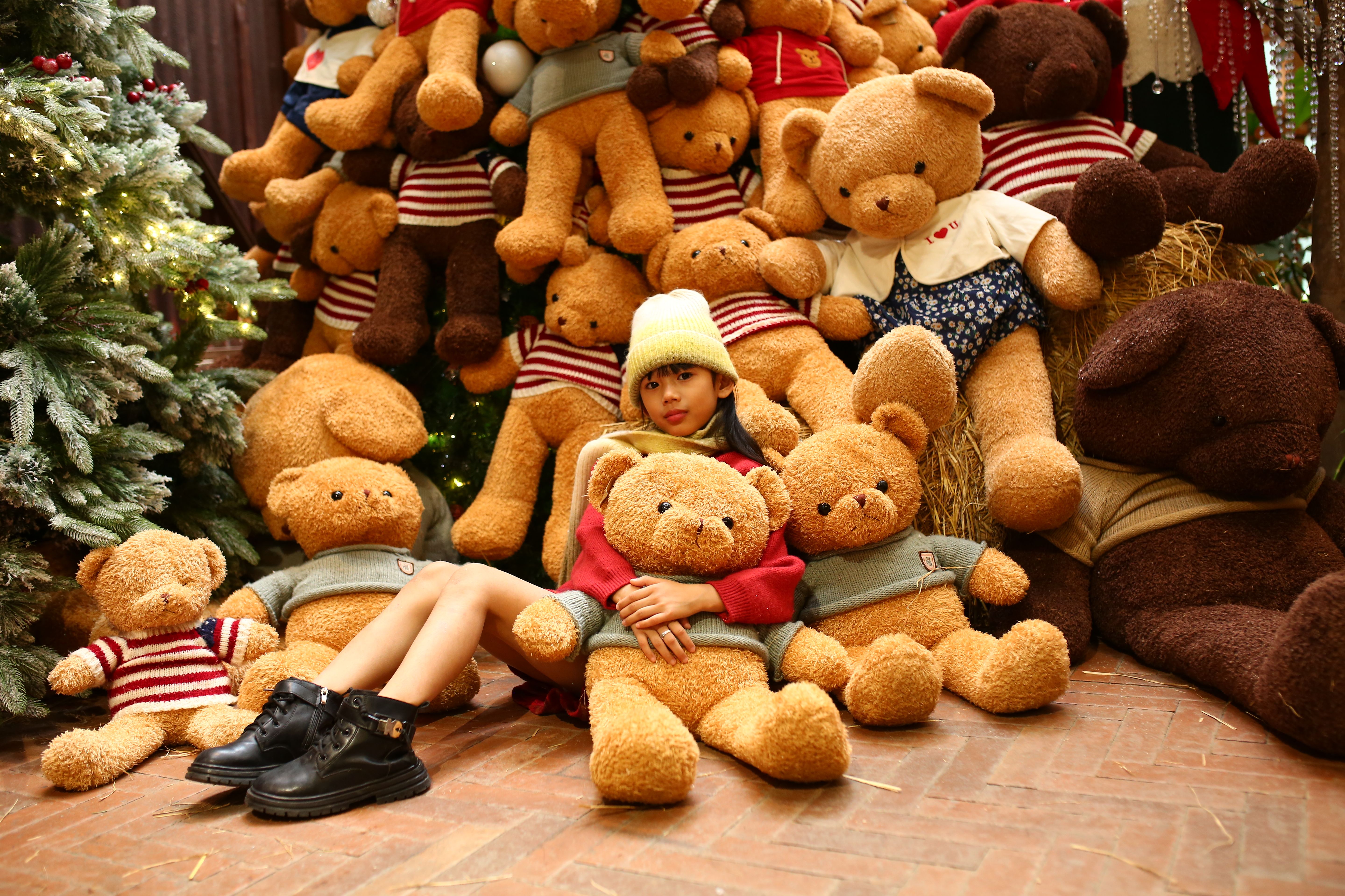 Festive Teddy Bear Display in Hội An · Free Stock Photo