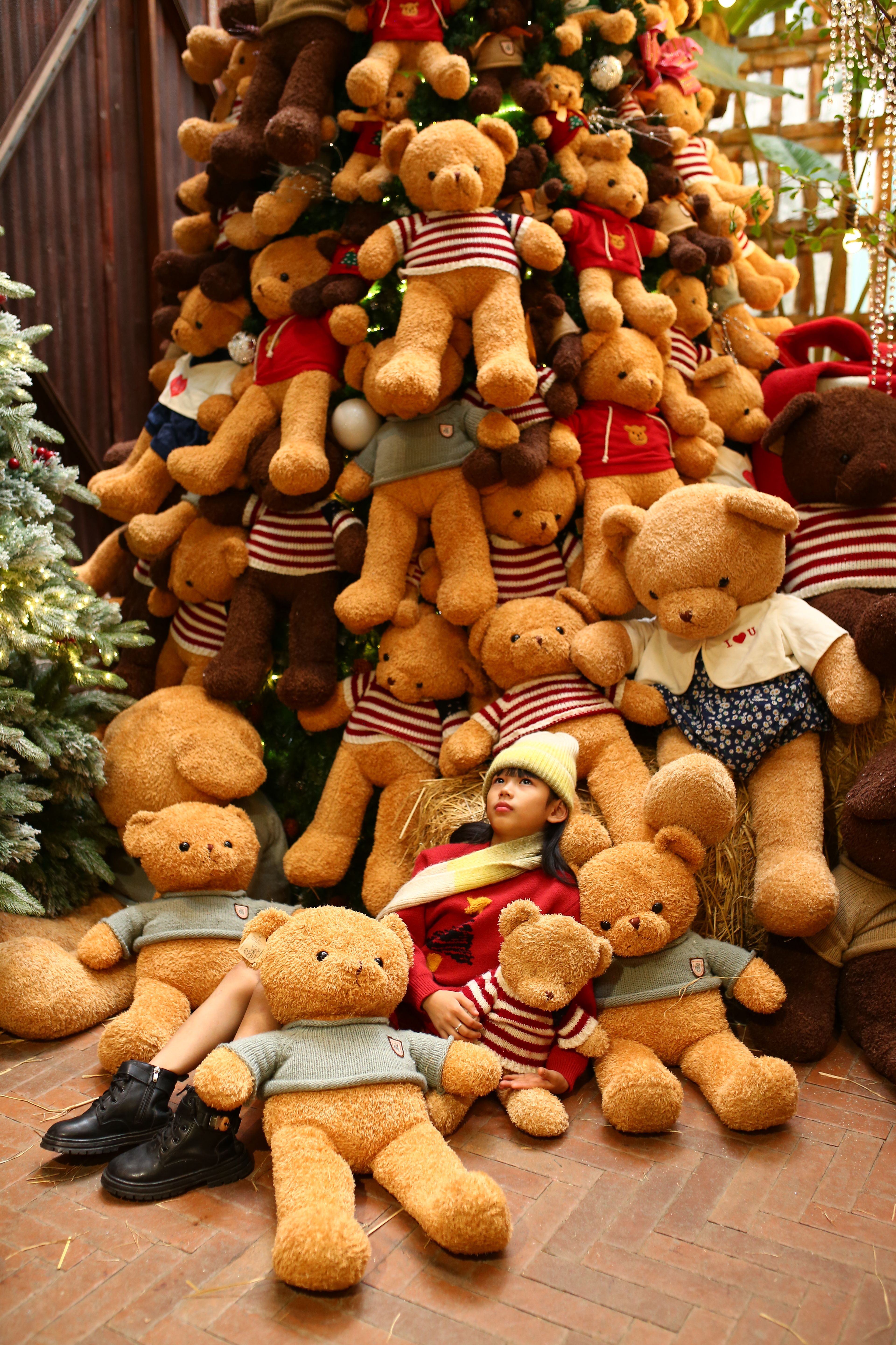 Christmas Teddy Bear Wonderland in Hội An · Free Stock Photo