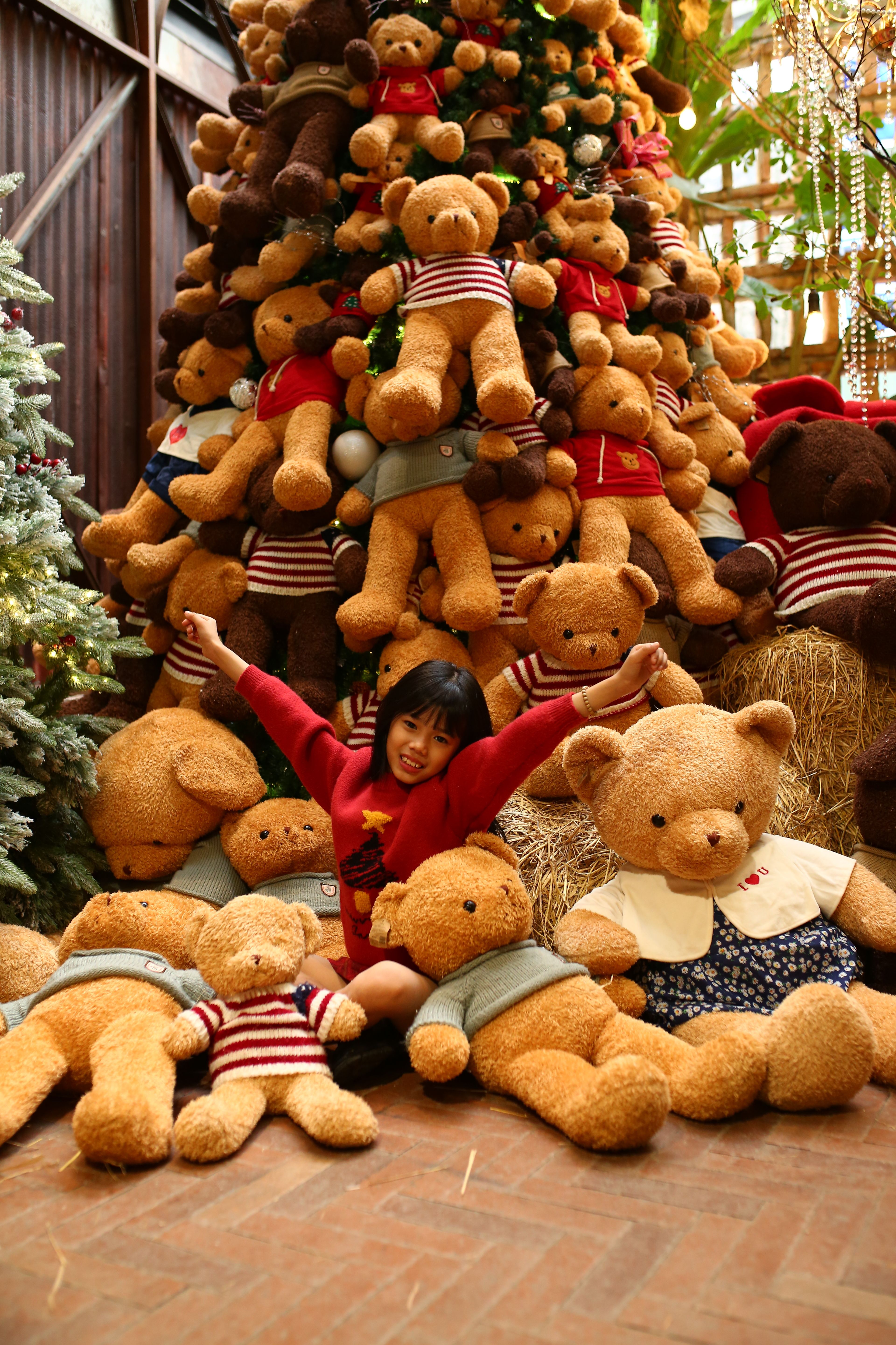Festive Teddy Bear Display in Hội An · Free Stock Photo