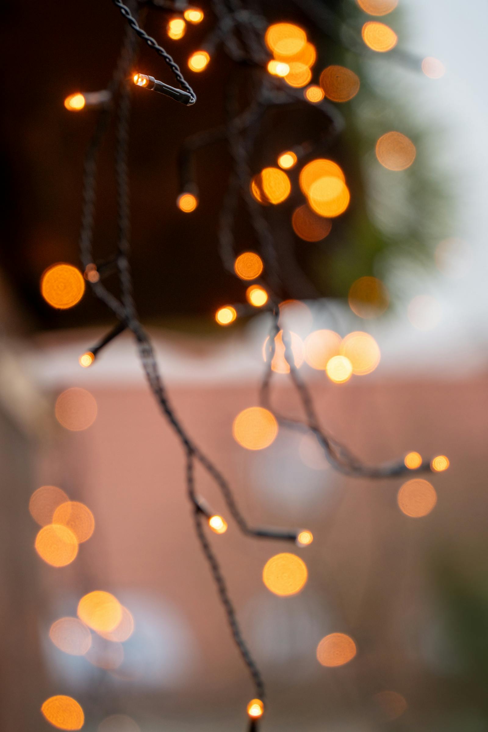Colored String Lights Photos, Download The BEST Free Colored String ...
