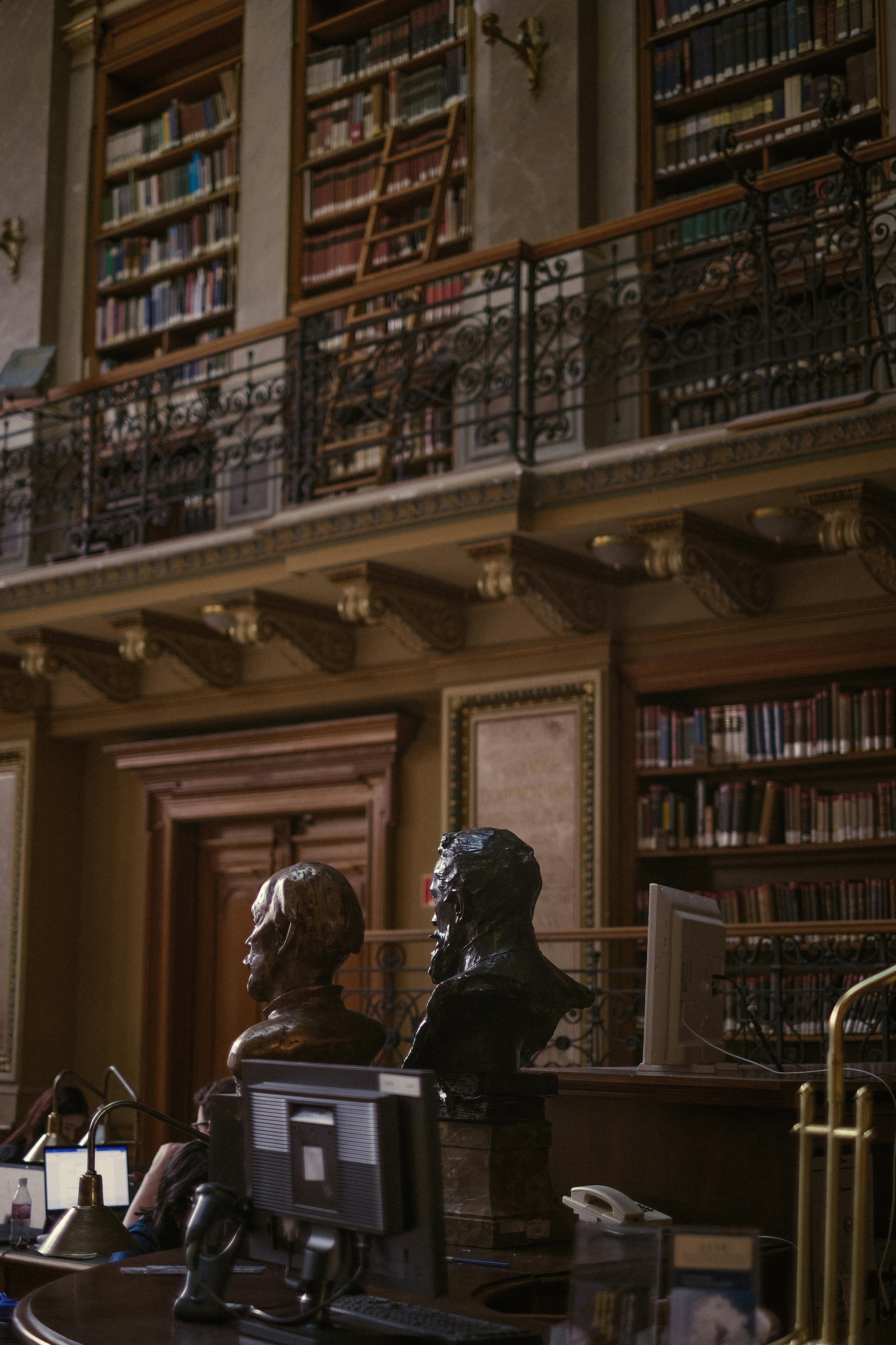 Elegant Historic Library with Busts and Bookshelves · Free Stock Photo
