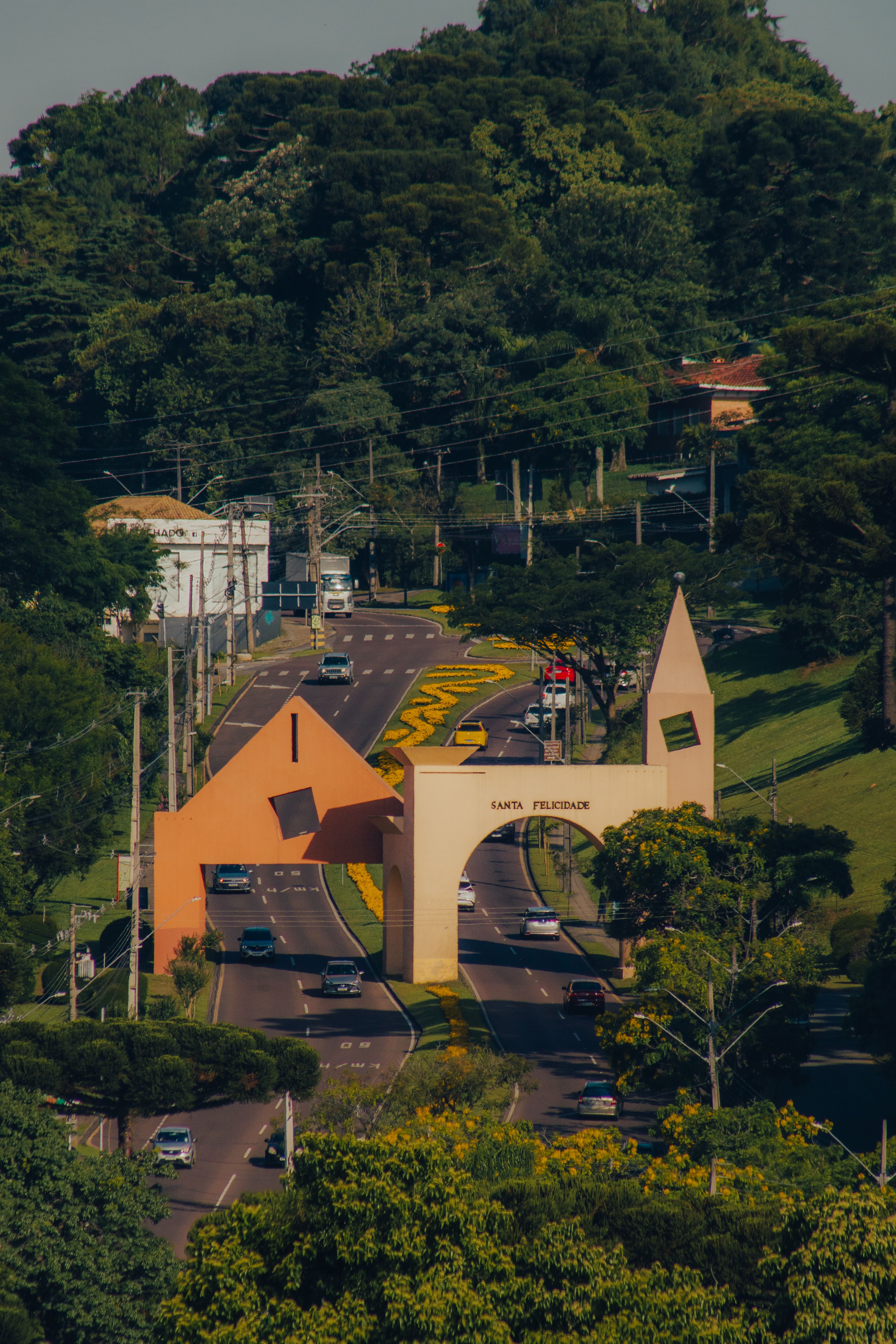 Vista Aérea Da Estrada Panorâmica Da Cidade Através Da Vegetação · Foto ...