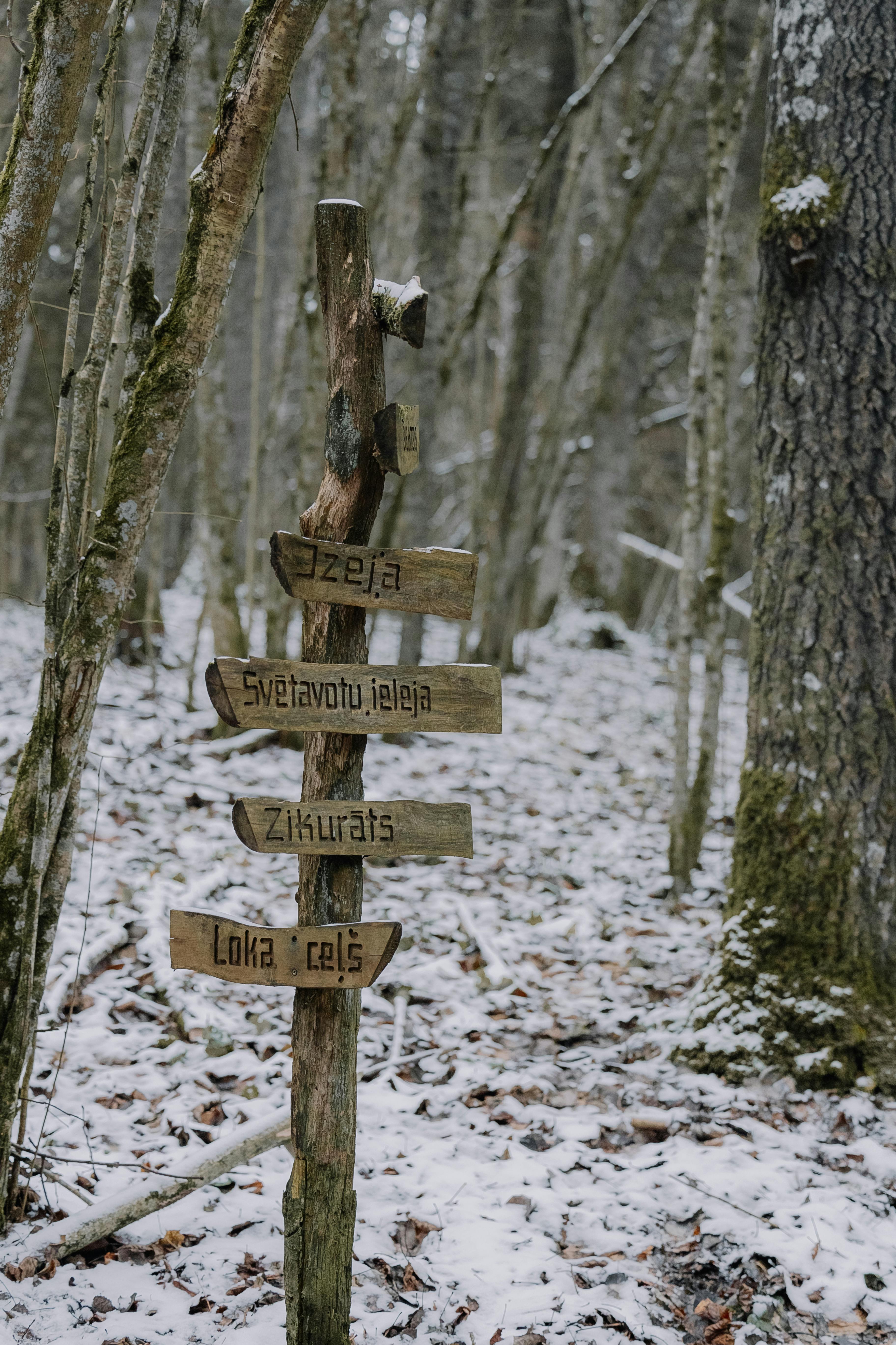 Changing Directions Photos, Download The BEST Free Changing Directions ...