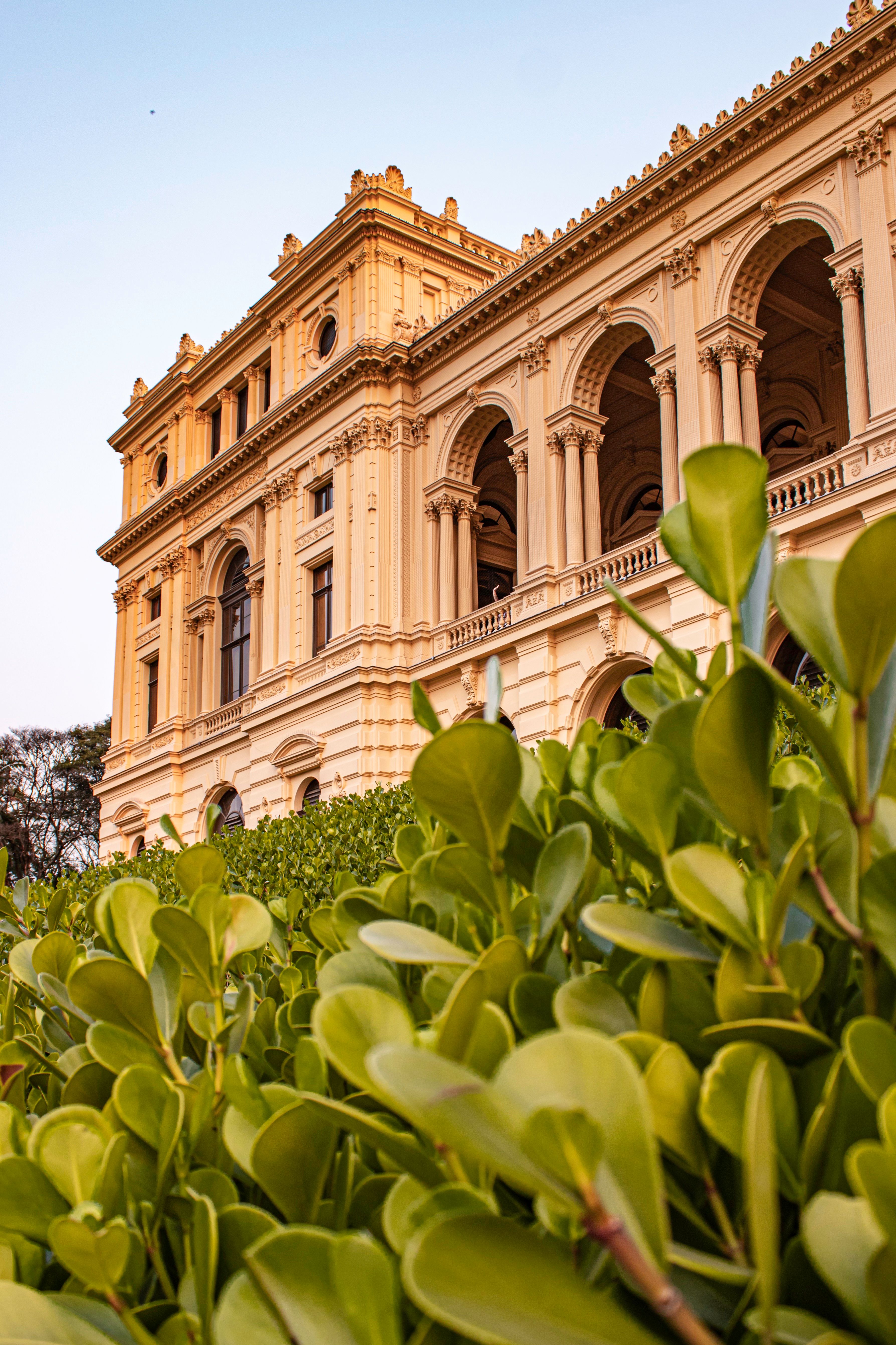 Historic Building with Lush Greenery · Free Stock Photo
