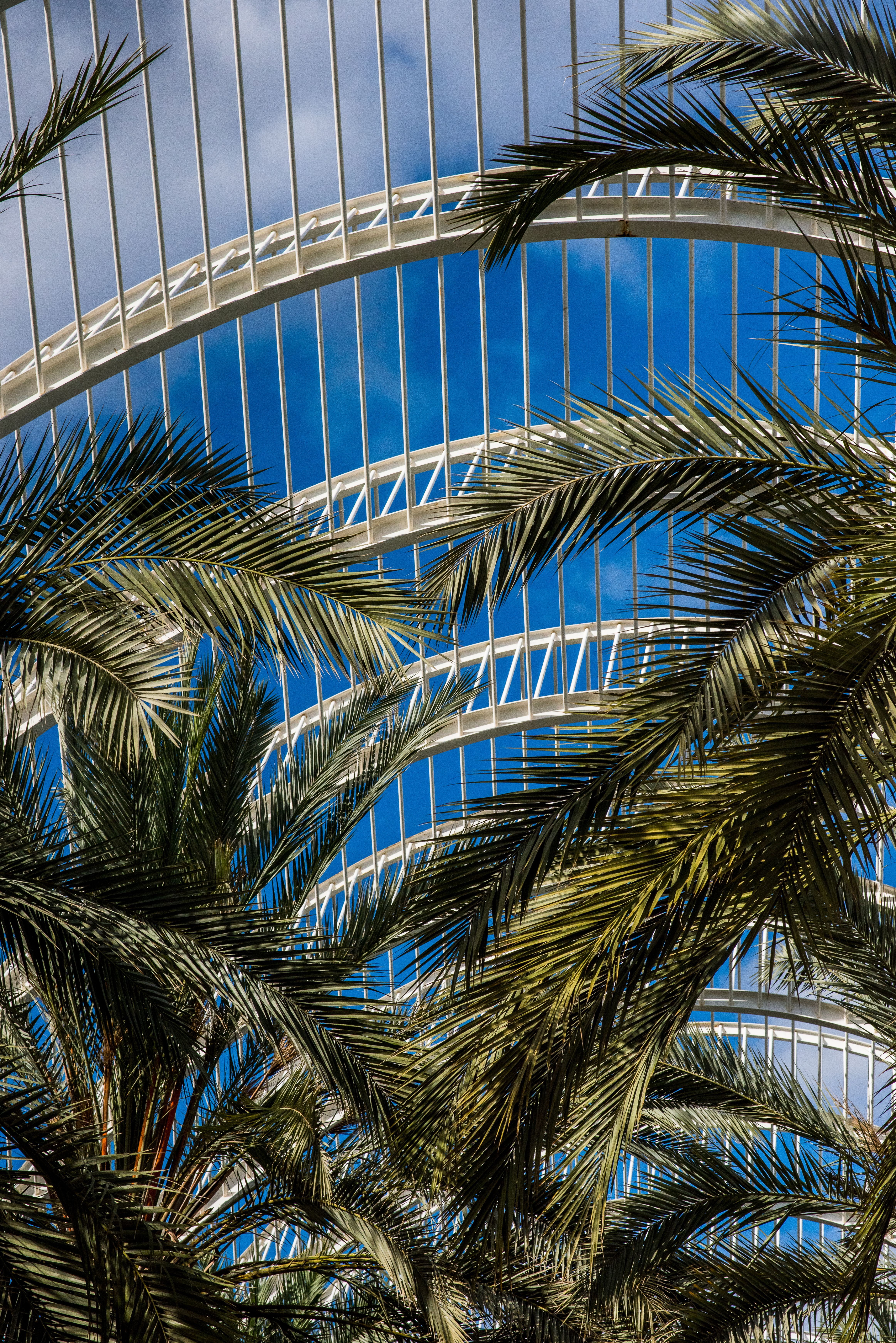 Palm Trees and Architectural Structure Against Blue Sky · Free Stock Photo