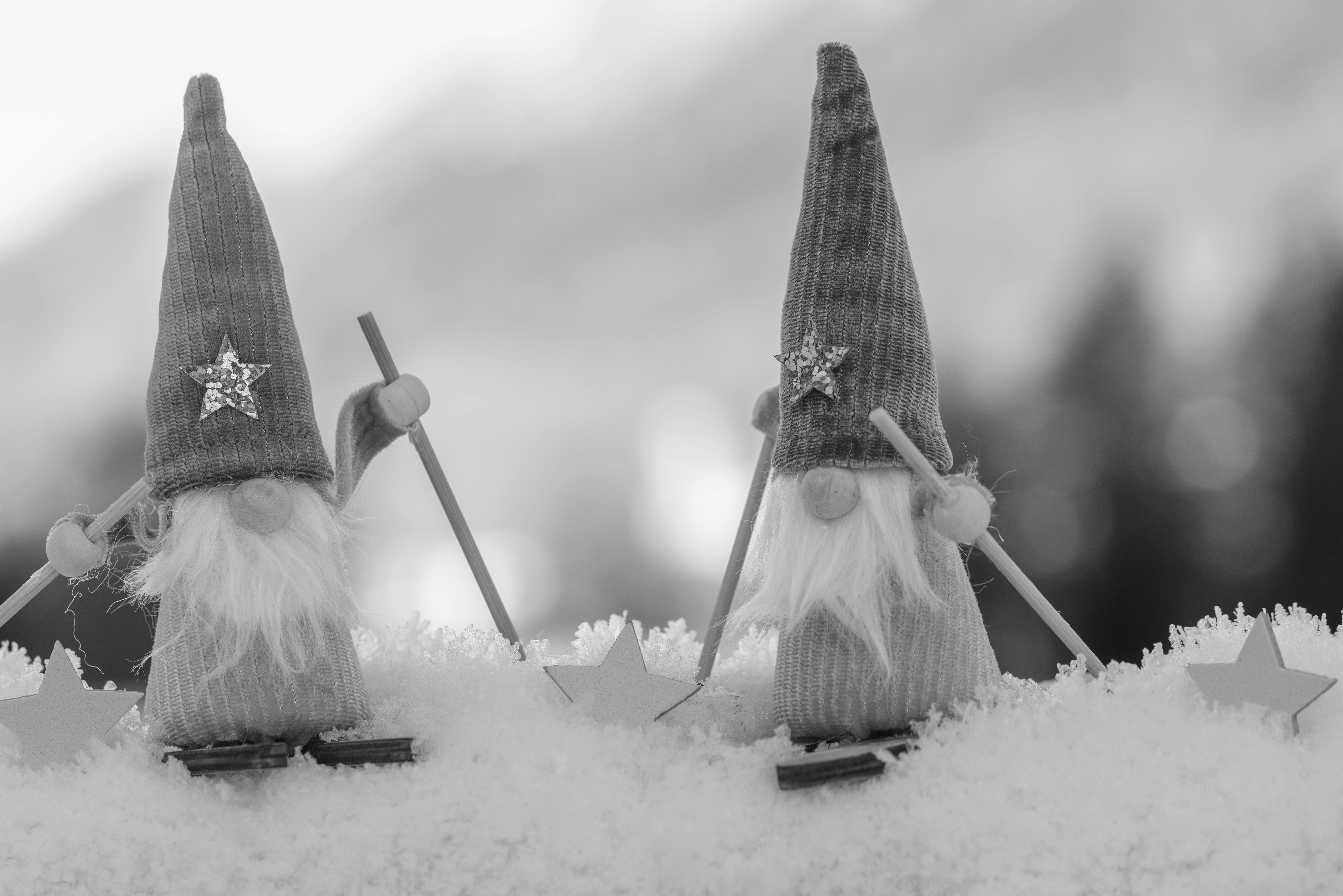 Whimsical Winter Gnomes Skiing on Snow · Free Stock Photo