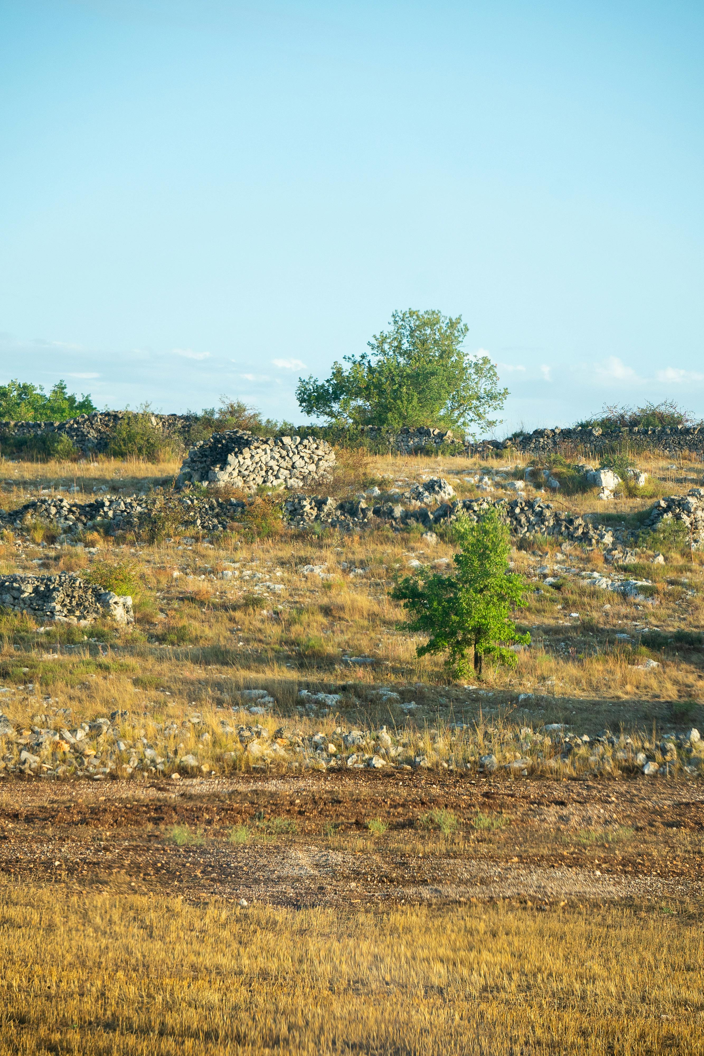 Scenic Rural Landscape in Bari, Italy · Free Stock Photo