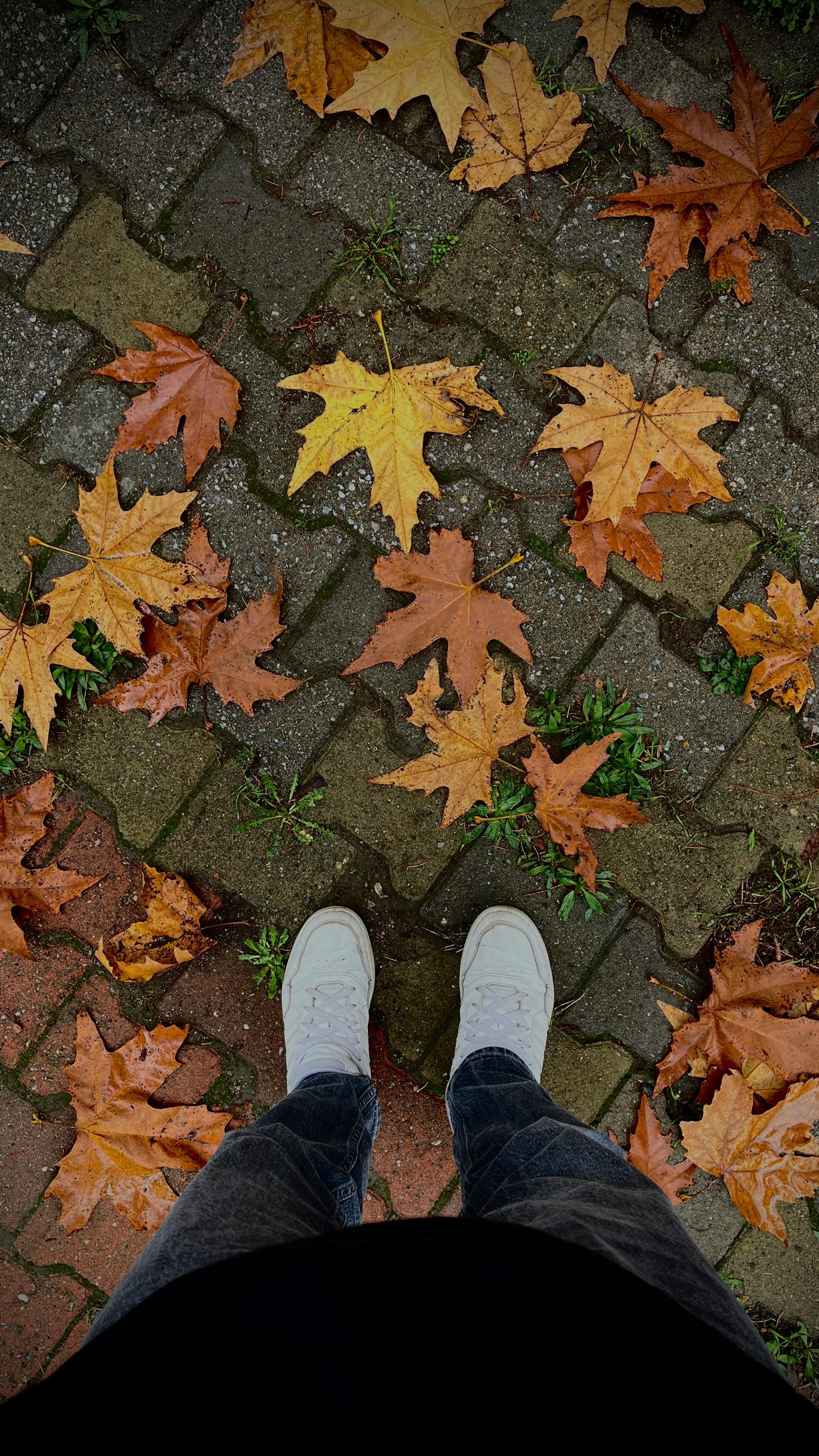 4k Nature Photos, Download The BEST Free 4k Nature Stock Photos & HD Images