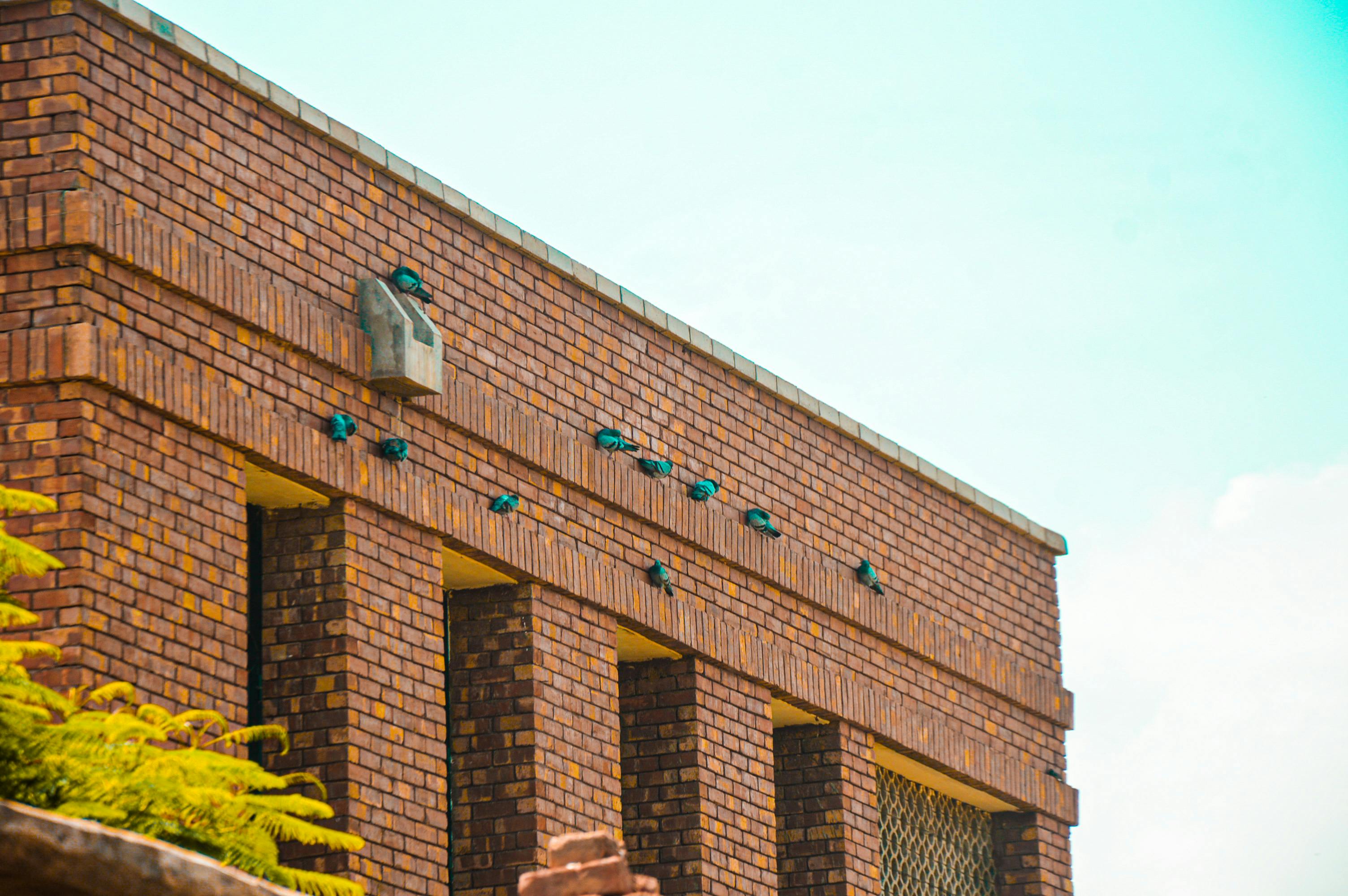 Fever Block Photos, Download The BEST Free Fever Block Stock Photos ...