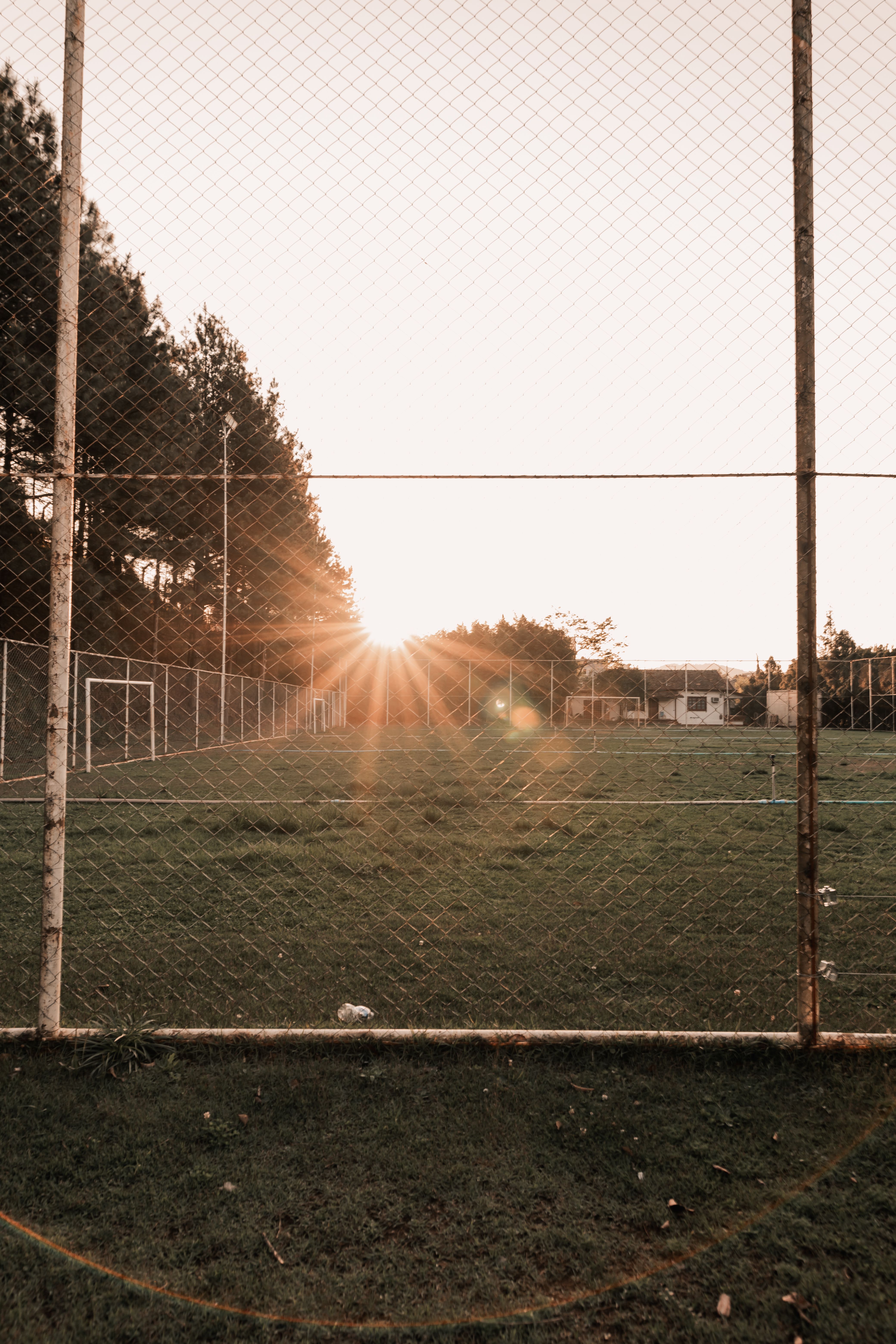 Sunrise Over Empty Soccer Field with Trees · Free Stock Photo