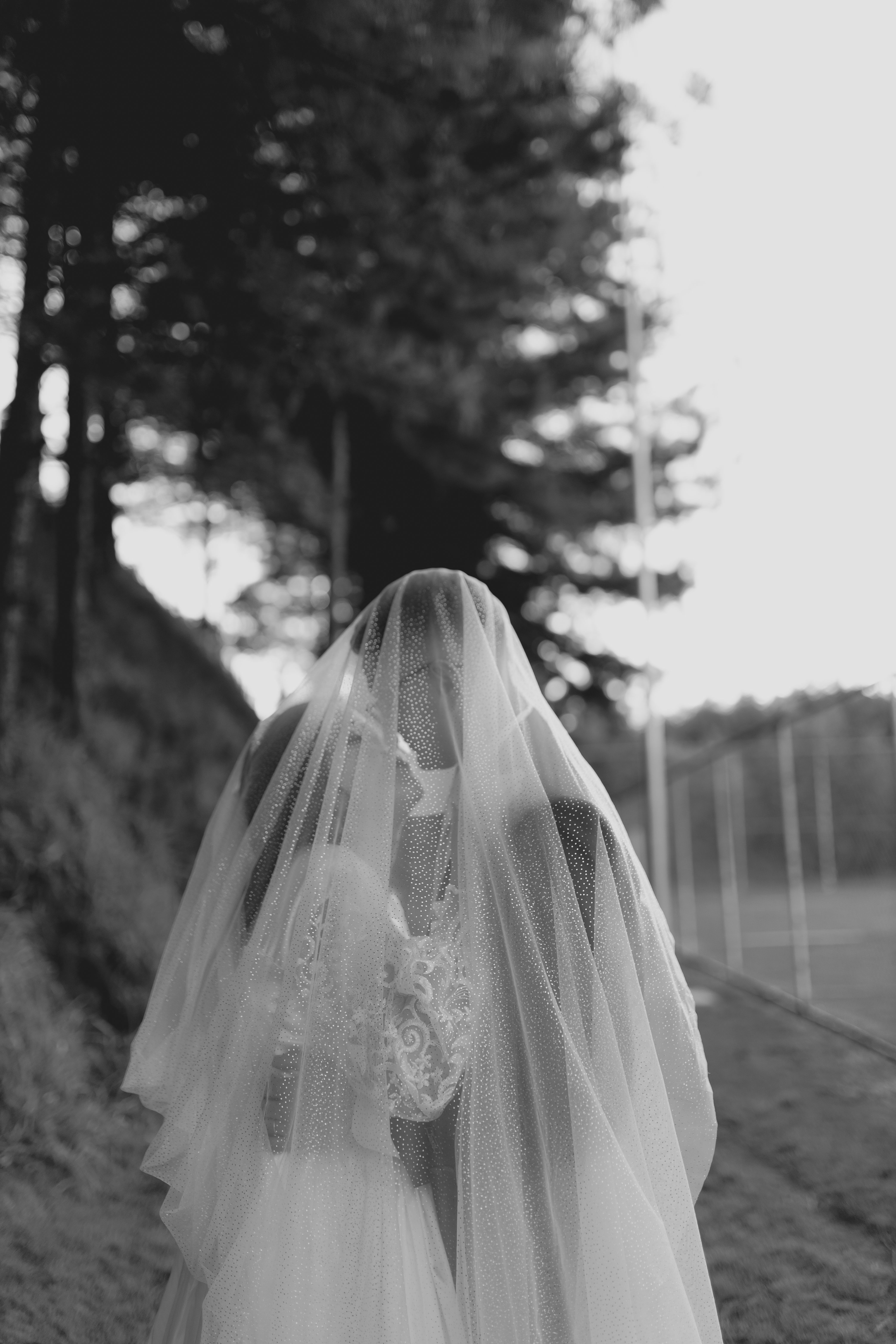 Ethereal Black and White Wedding Scene in Forest · Free Stock Photo