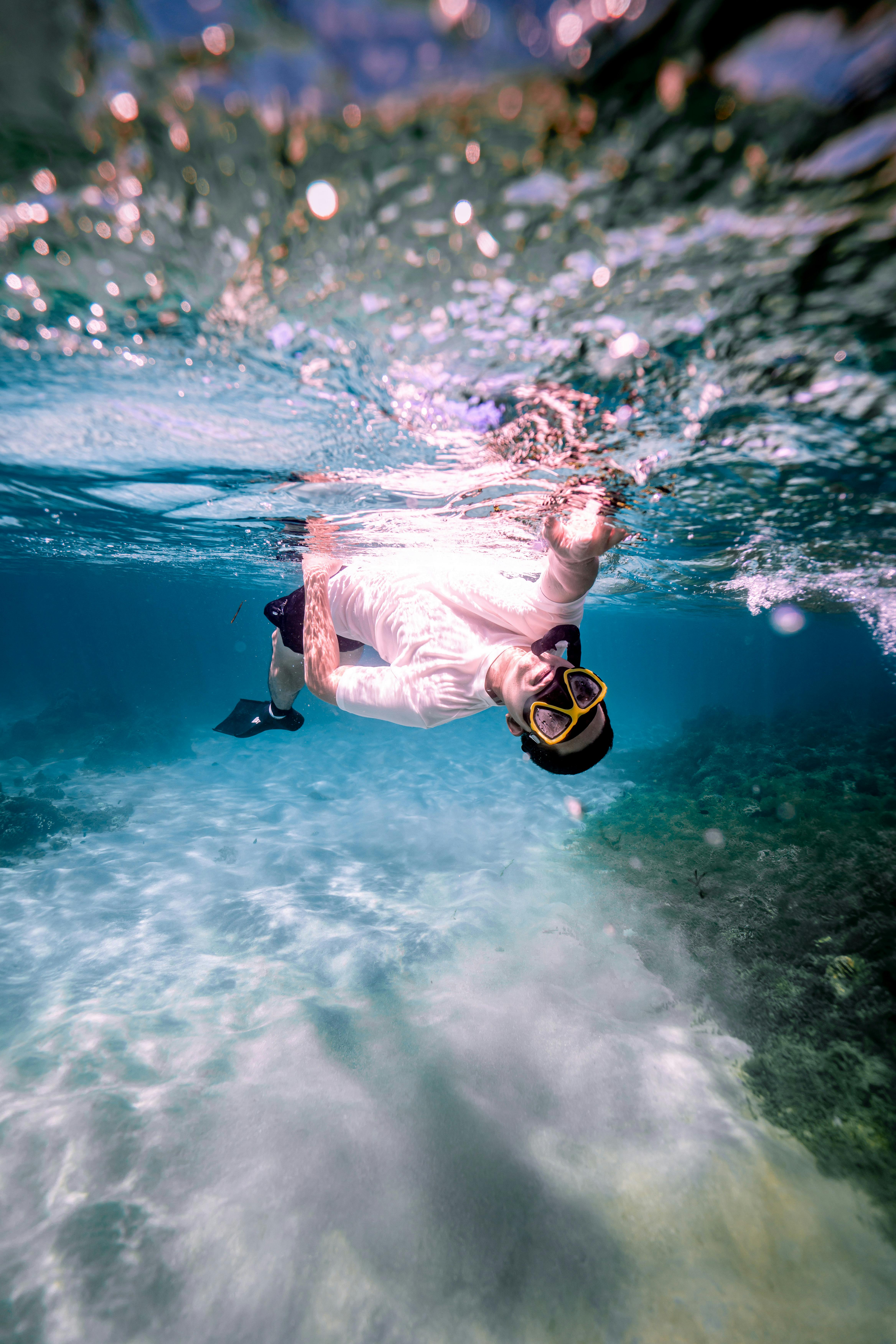 Snorkeler Exploring Vibrant Coral Reef in Vietnam · Free Stock Photo