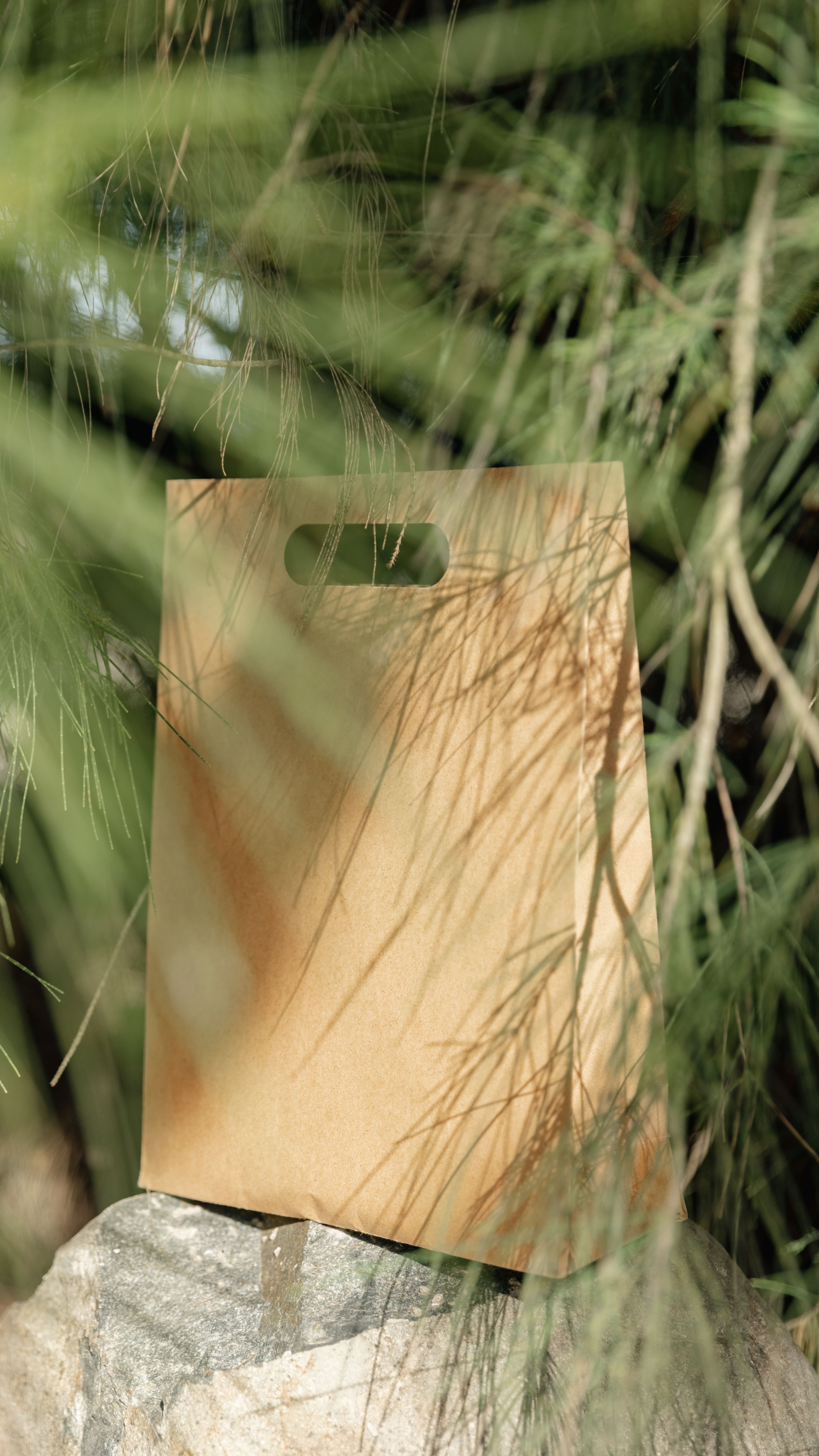 Eco-friendly Paper Bag with Nature Background · Free Stock Photo
