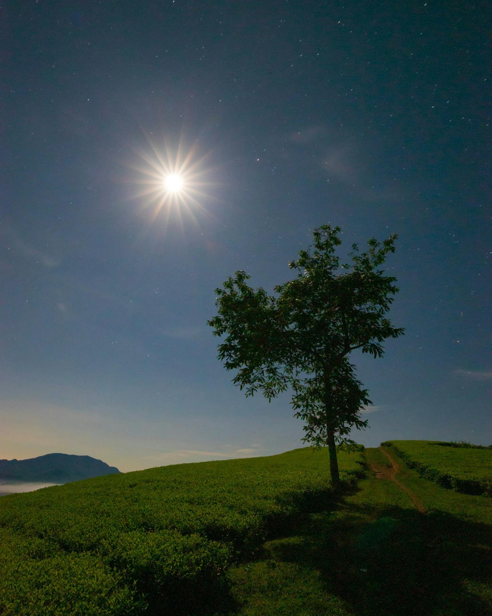 Landscape Reference Photos, Download The BEST Free Landscape Reference ...