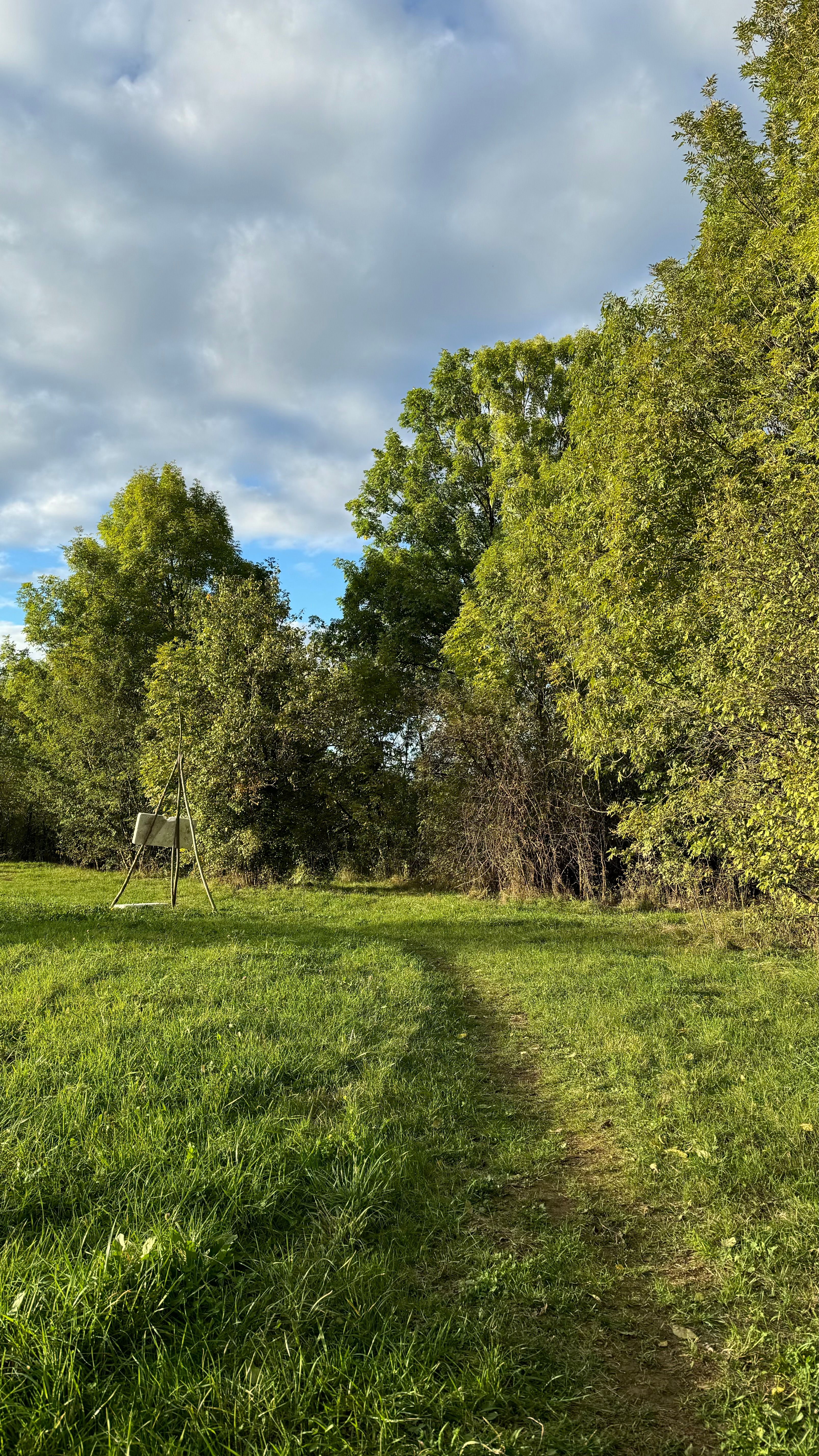 Peaceful Green Park in Cluj-Napoca Romania · Free Stock Photo