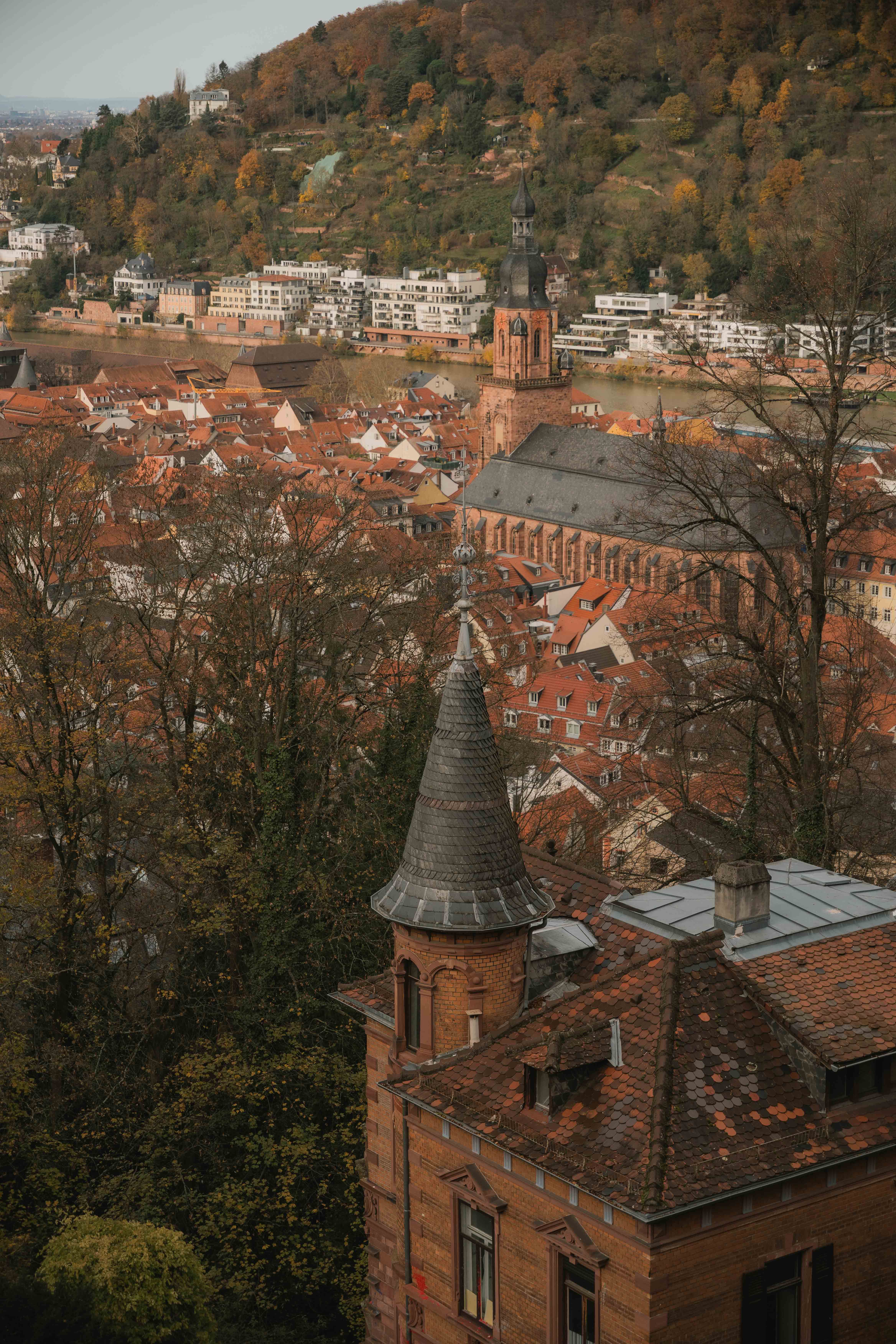 Heidelberg Cityscape with Iconic Castle View · Free Stock Photo
