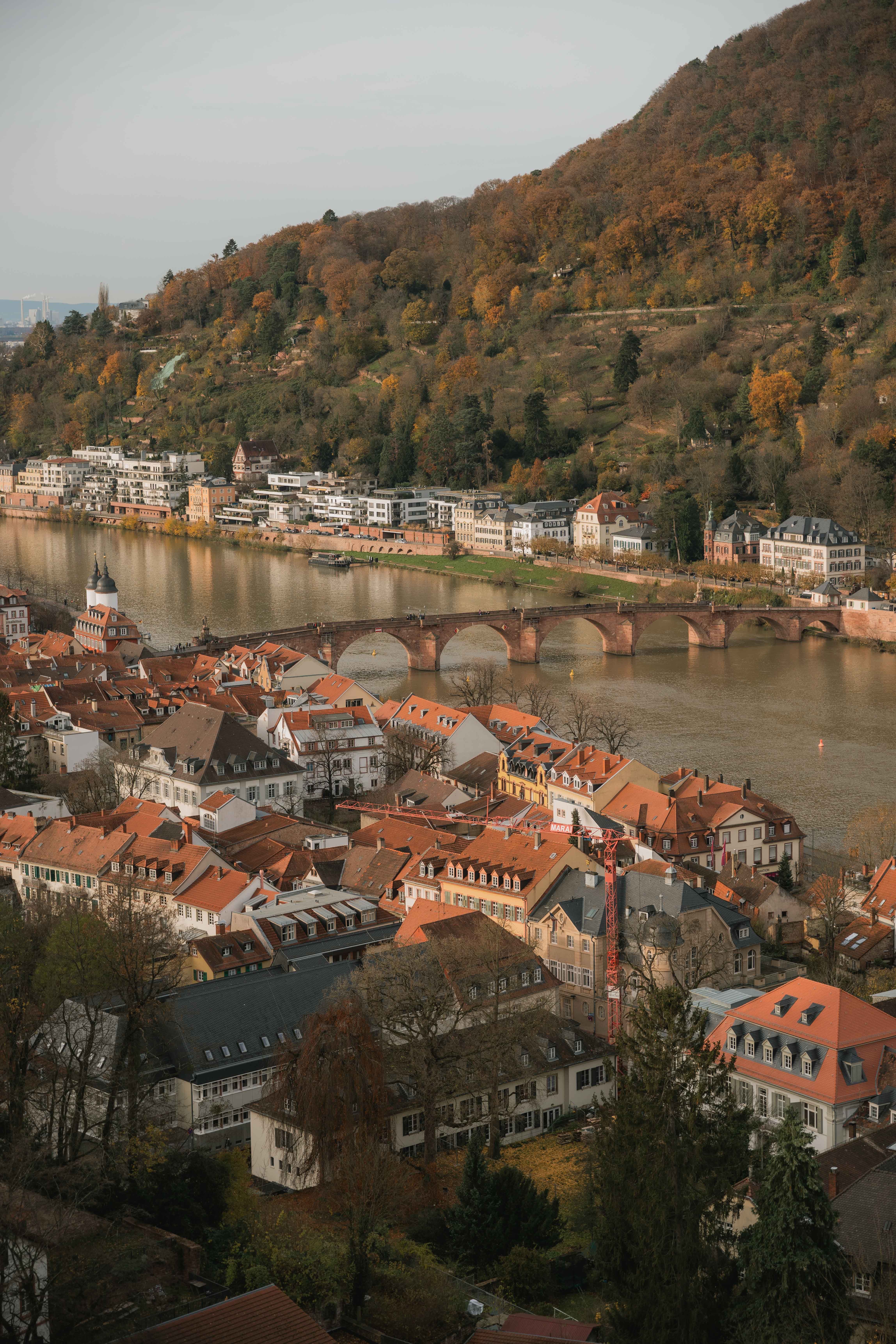 Aerial View of Heidelberg's Historic Altstadt and River · Free Stock Photo
