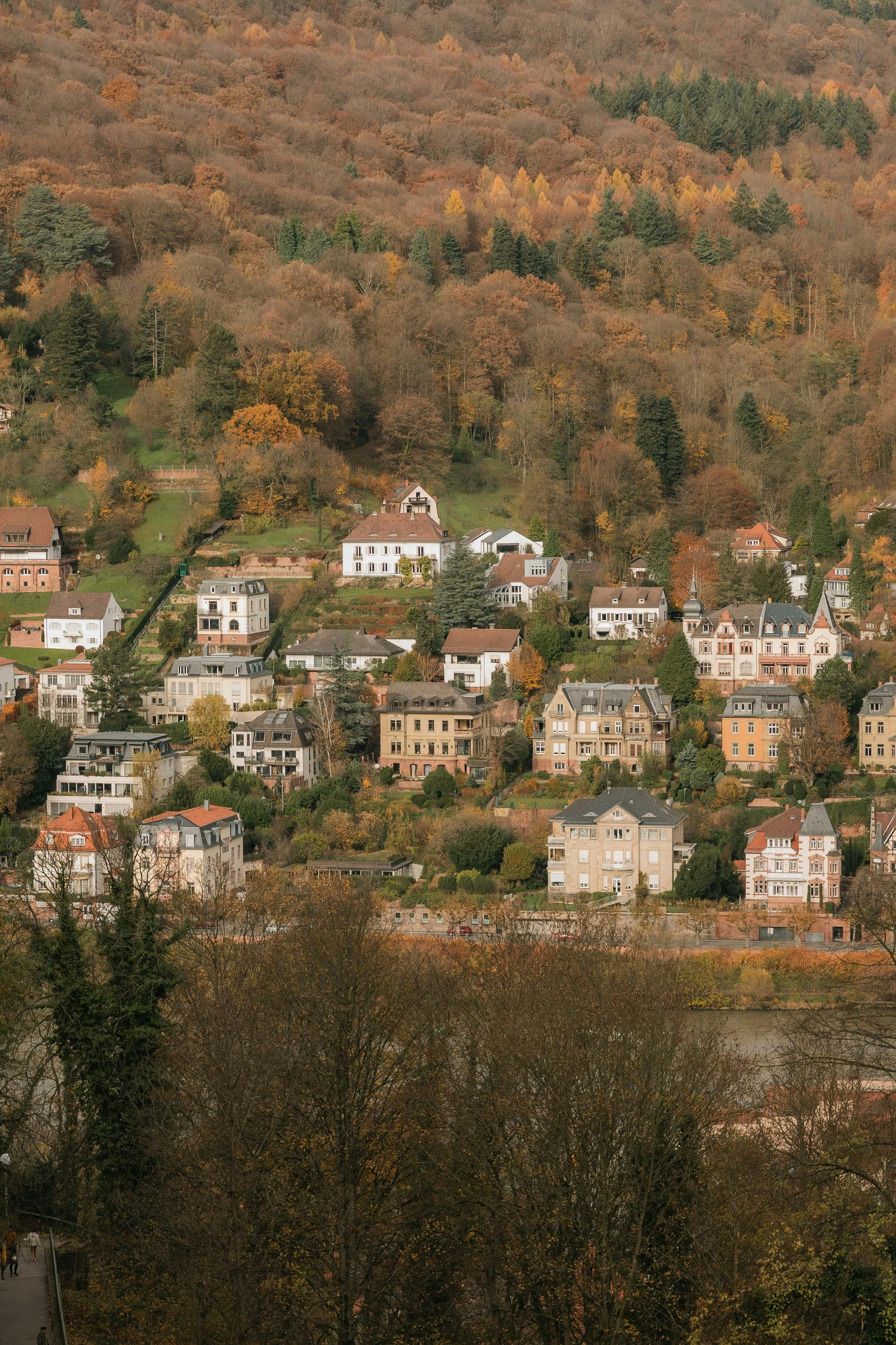 Charming Autumn Townscape with Forest Backdrop · Free Stock Photo