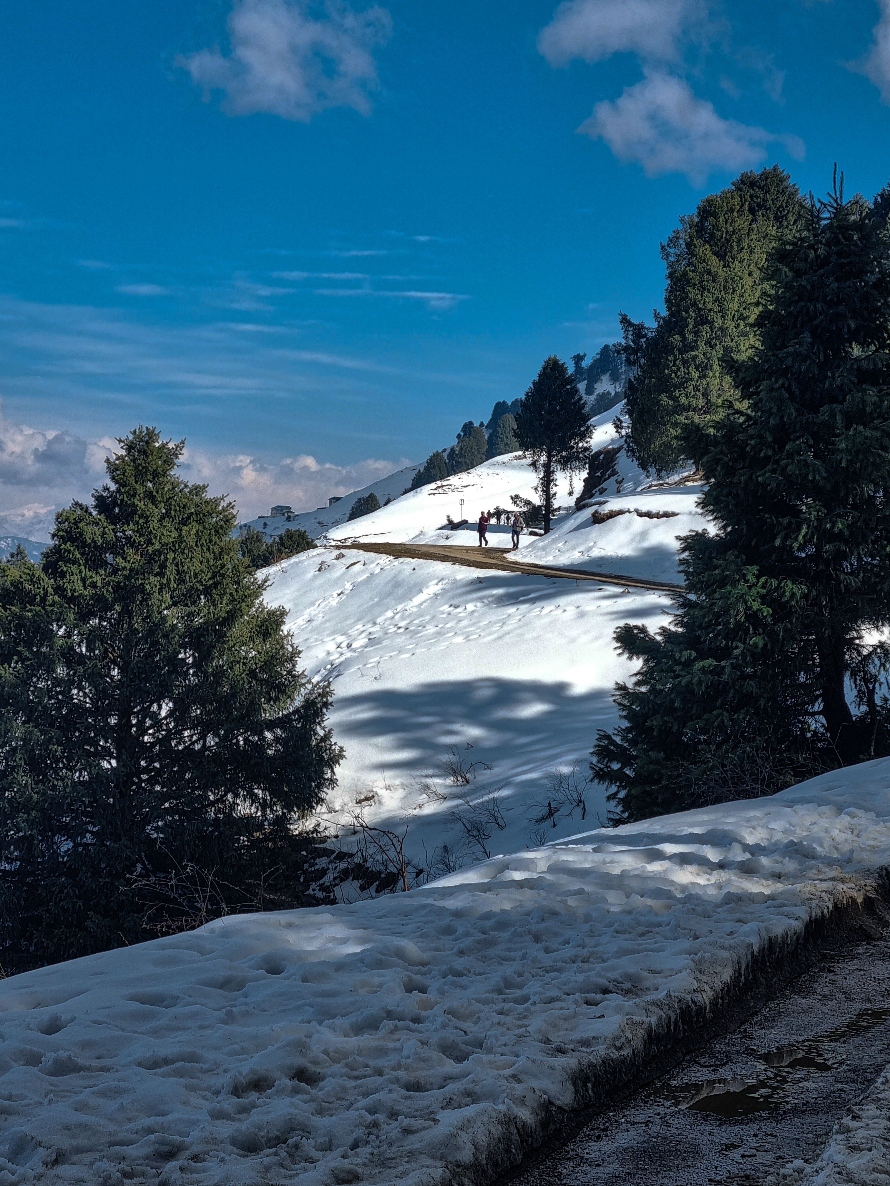 Snowy Mountain Path in Manali, India · Free Stock Photo
