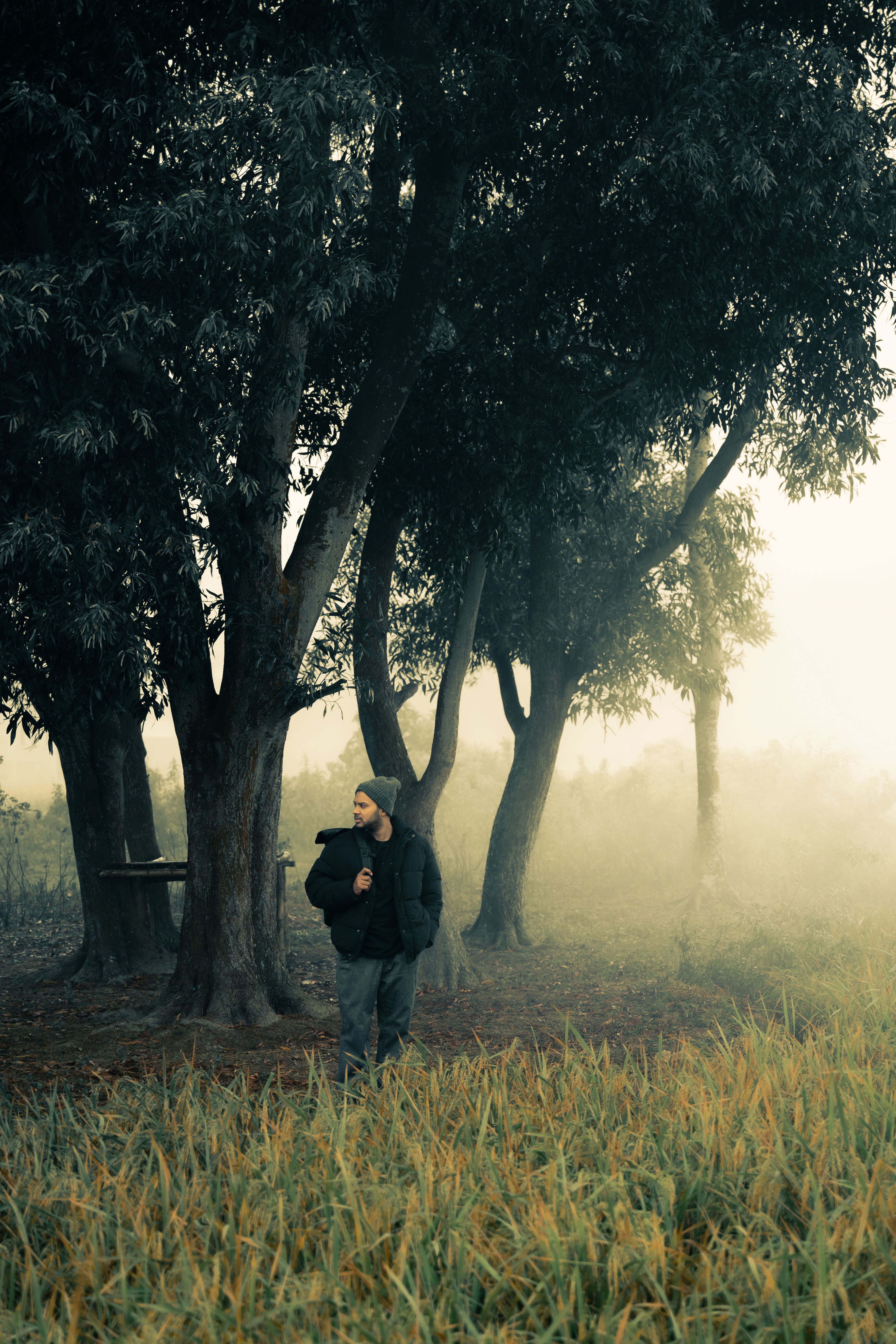 Person Standing by Large Tree in Blooming Garden · Free Stock Photo