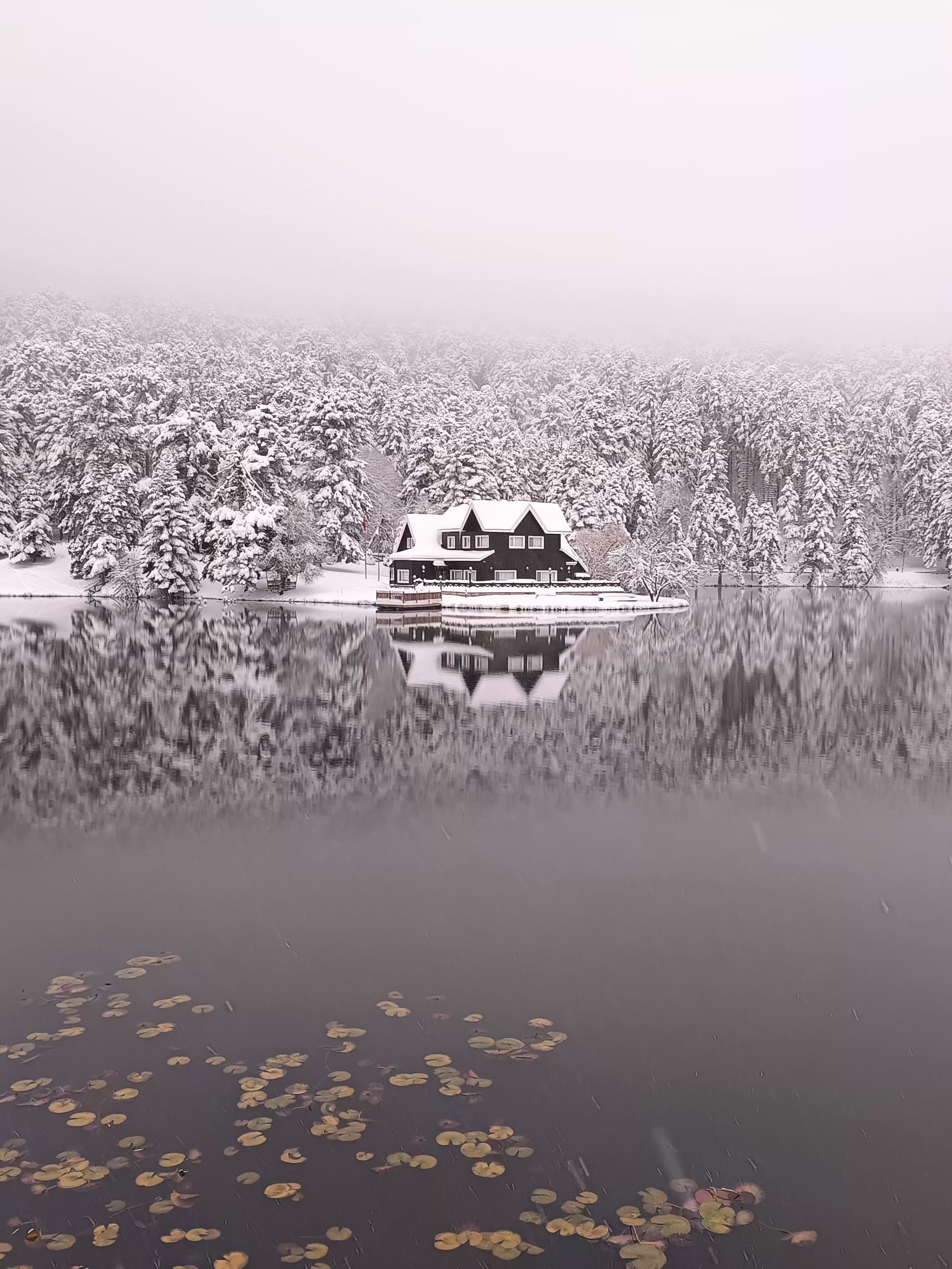 Snow-covered Lake House in a Winter Wonderland · Free Stock Photo