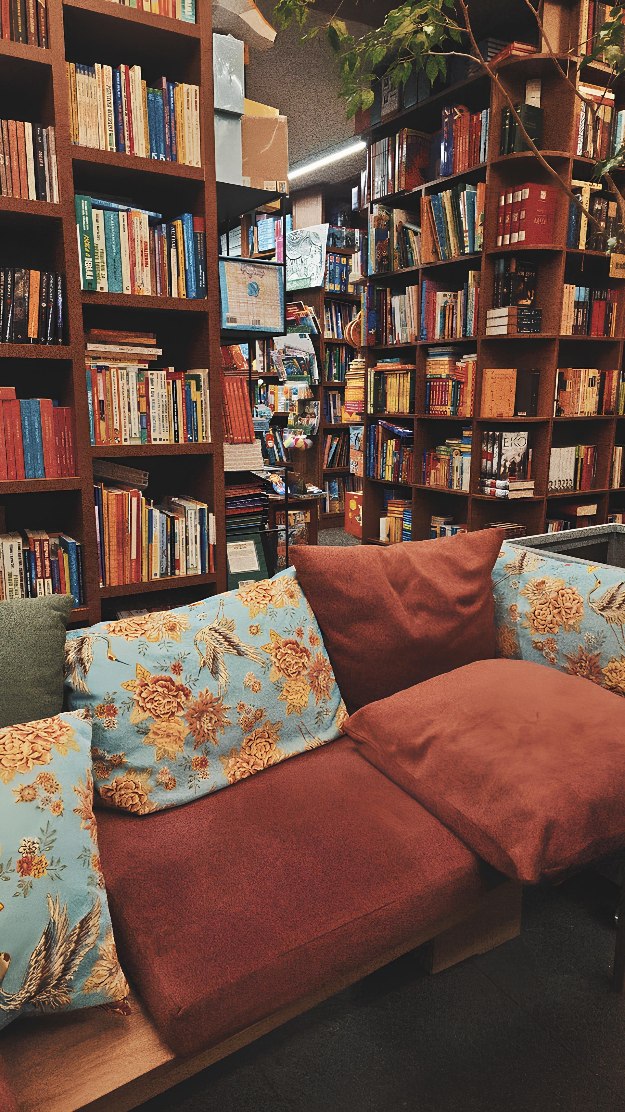 Cozy Library Corner with Plush Seating in Belgrade · Free Stock Photo