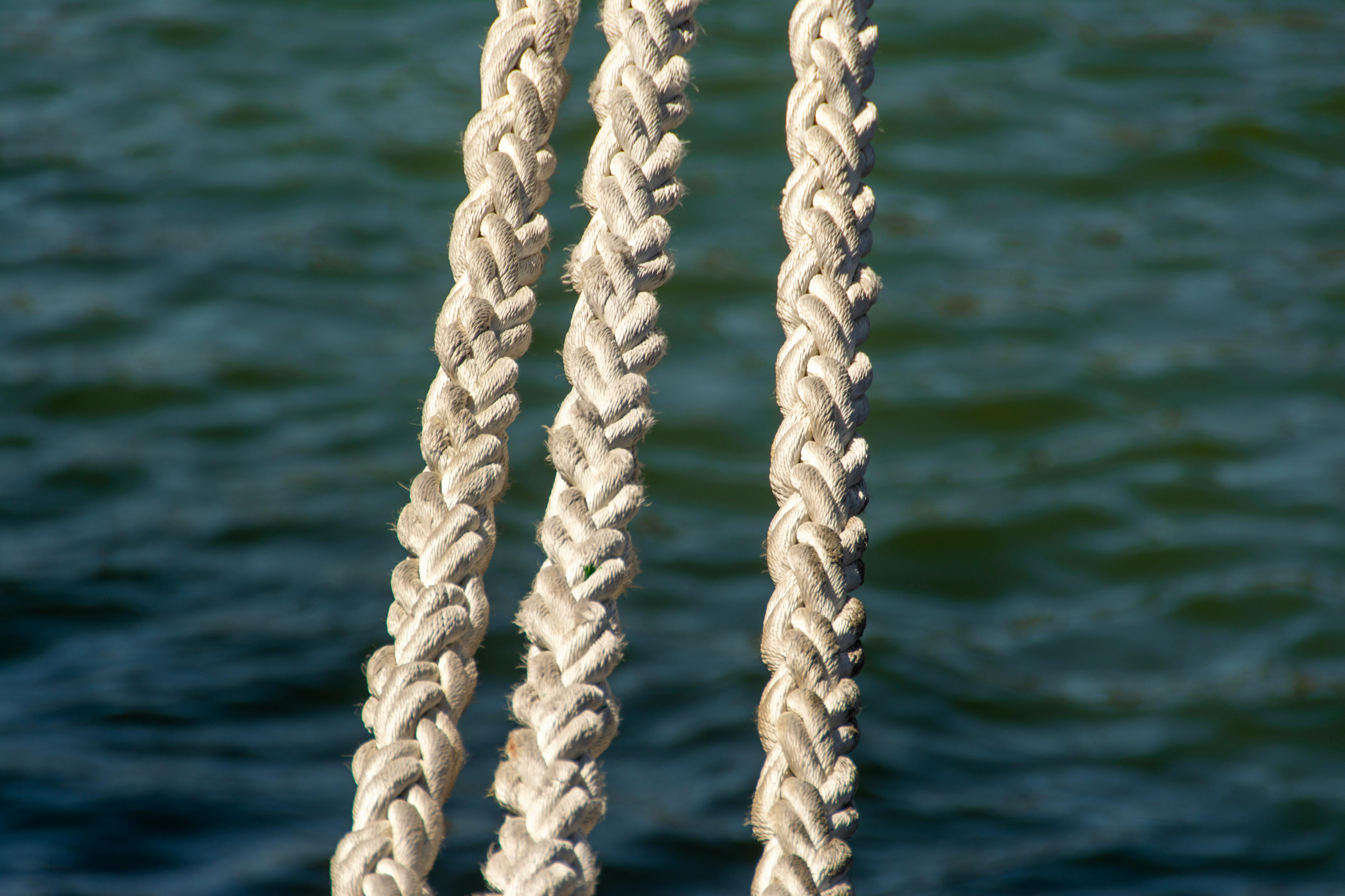 Jan van der Wolf - 摄影