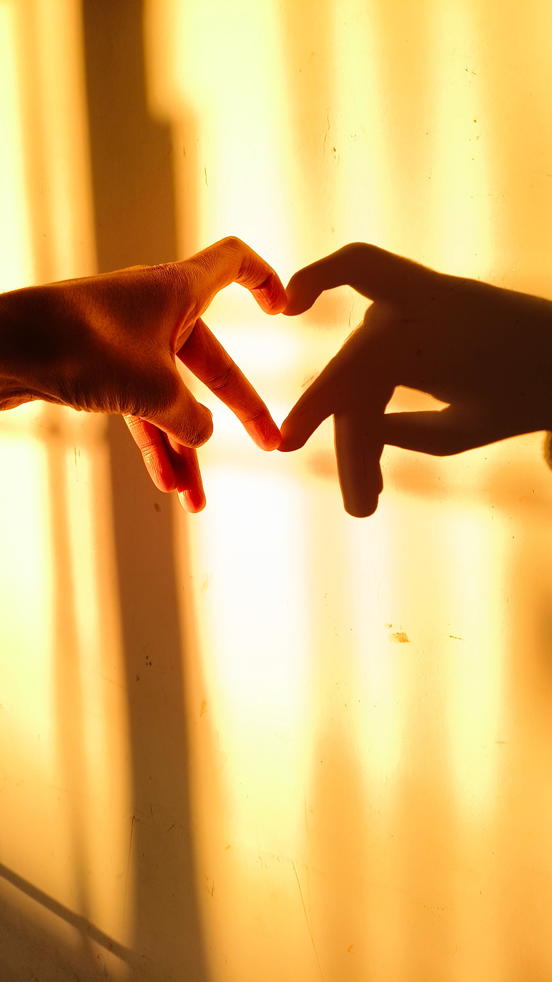 Manos Formando Un Corazón Bajo Una Luz Cálida · Foto de stock gratuita