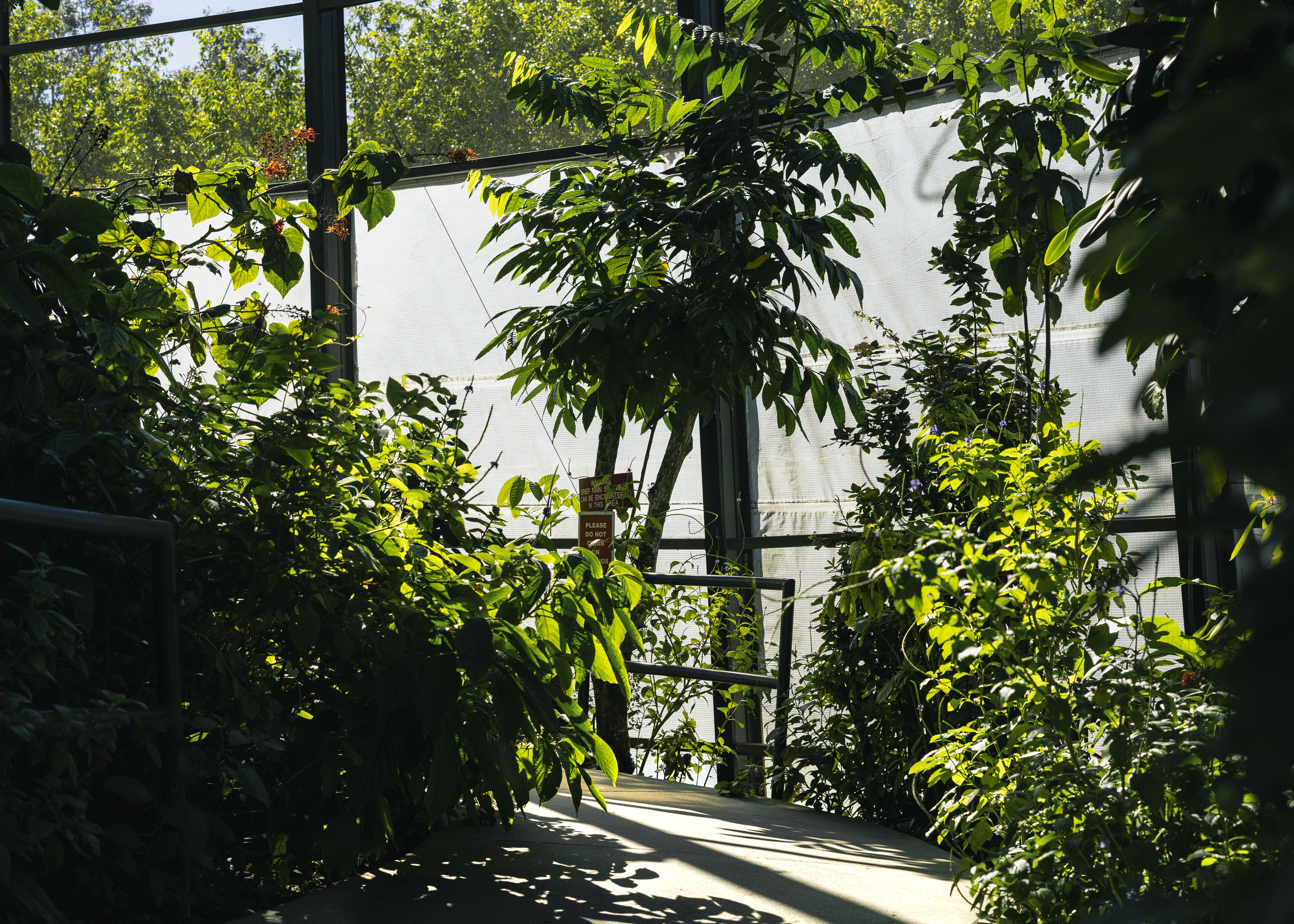 Florida Greenhouse Photos, Download The BEST Free Florida Greenhouse ...