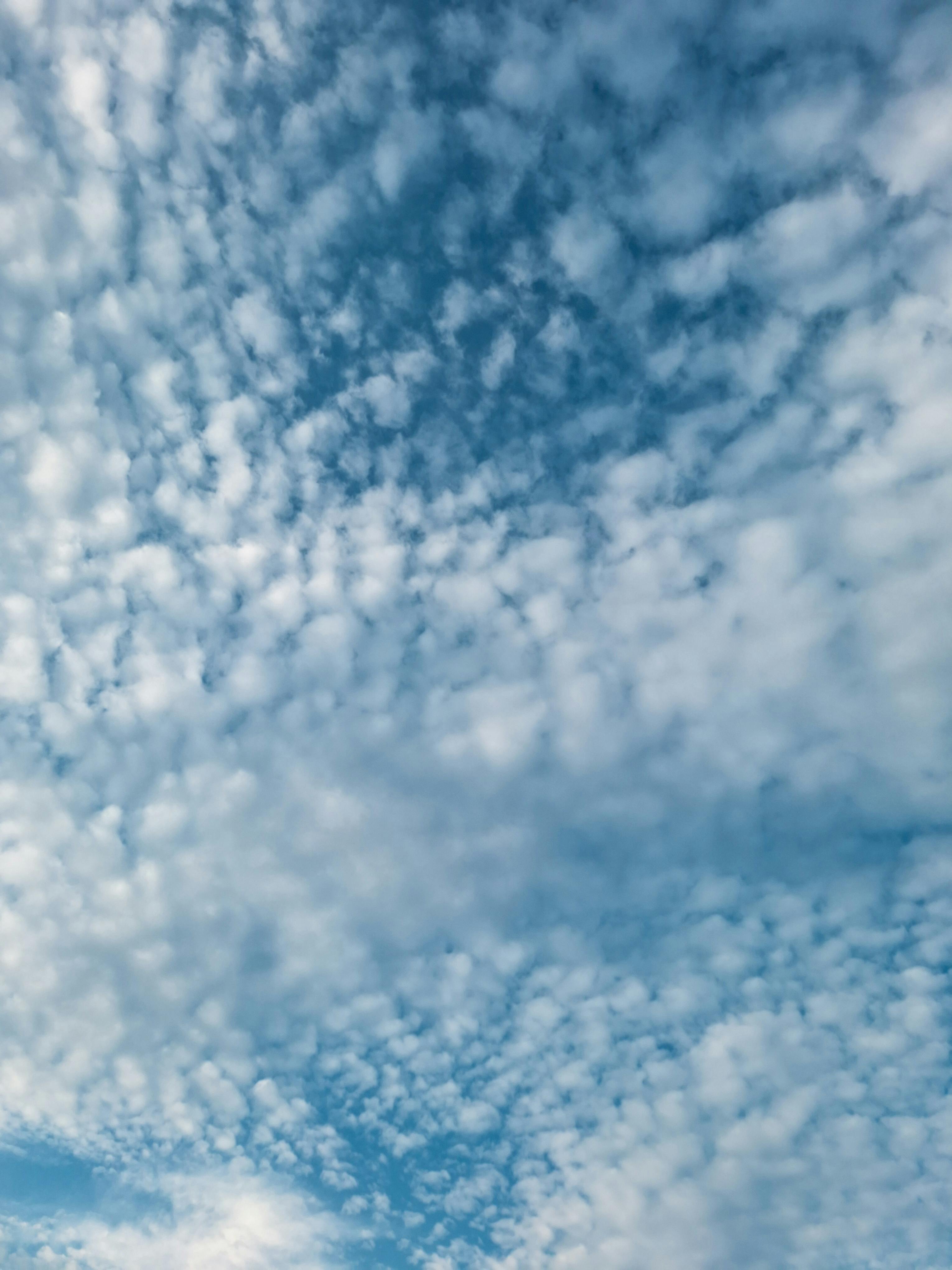 Captivating Altocumulus Clouds in Blue Sky · Free Stock Photo