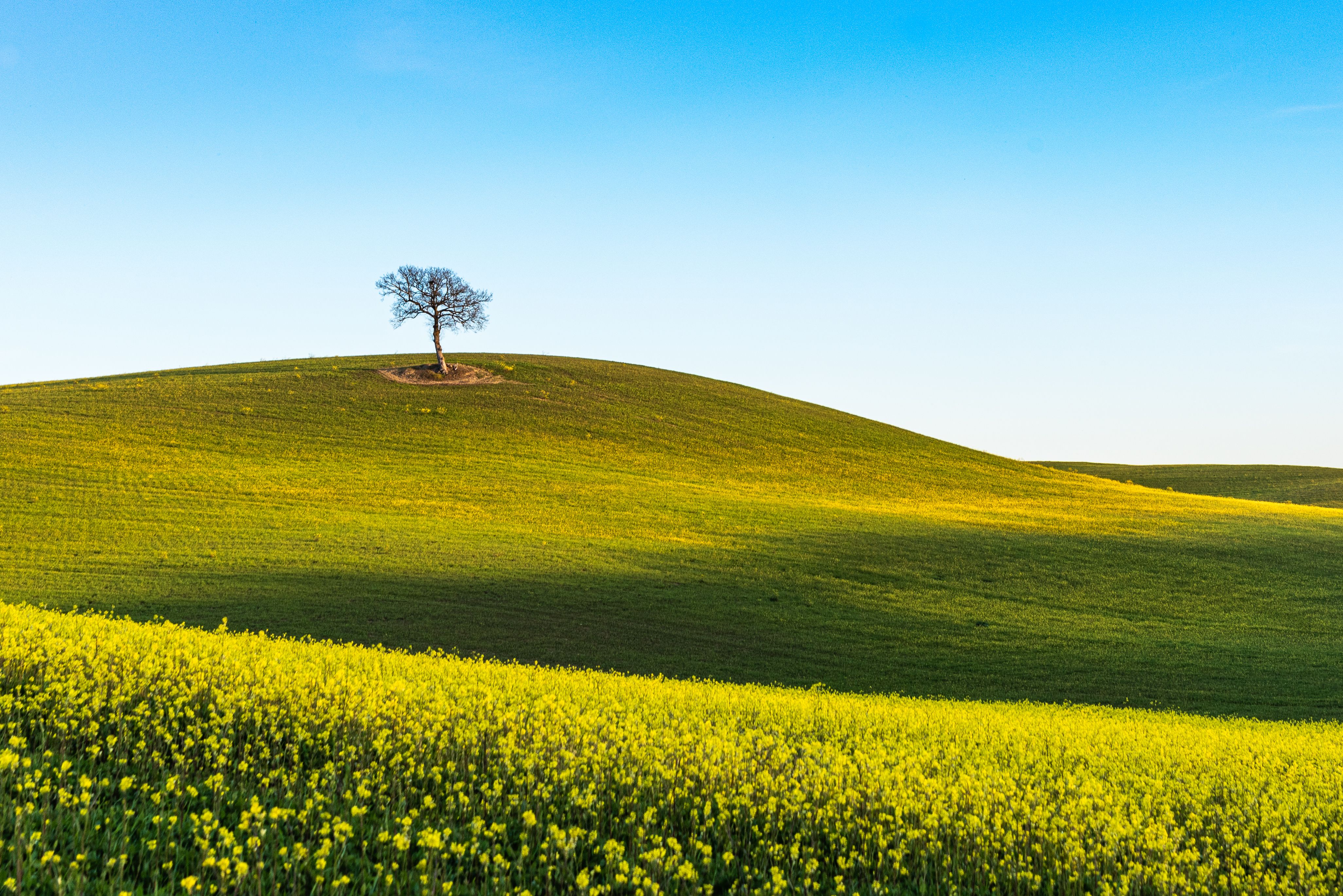 Lonely Person In The Countryside Photos, Download The BEST Free Lonely ...